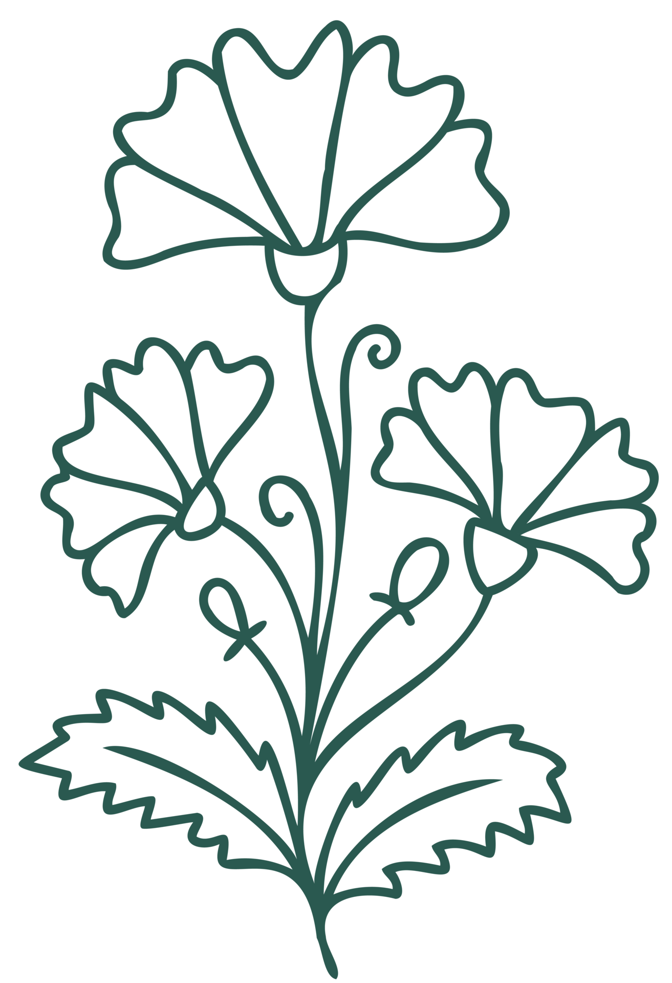 Floral Line Art Linear Botanical Design Element Flower Drawings With Thin Line Collection Of