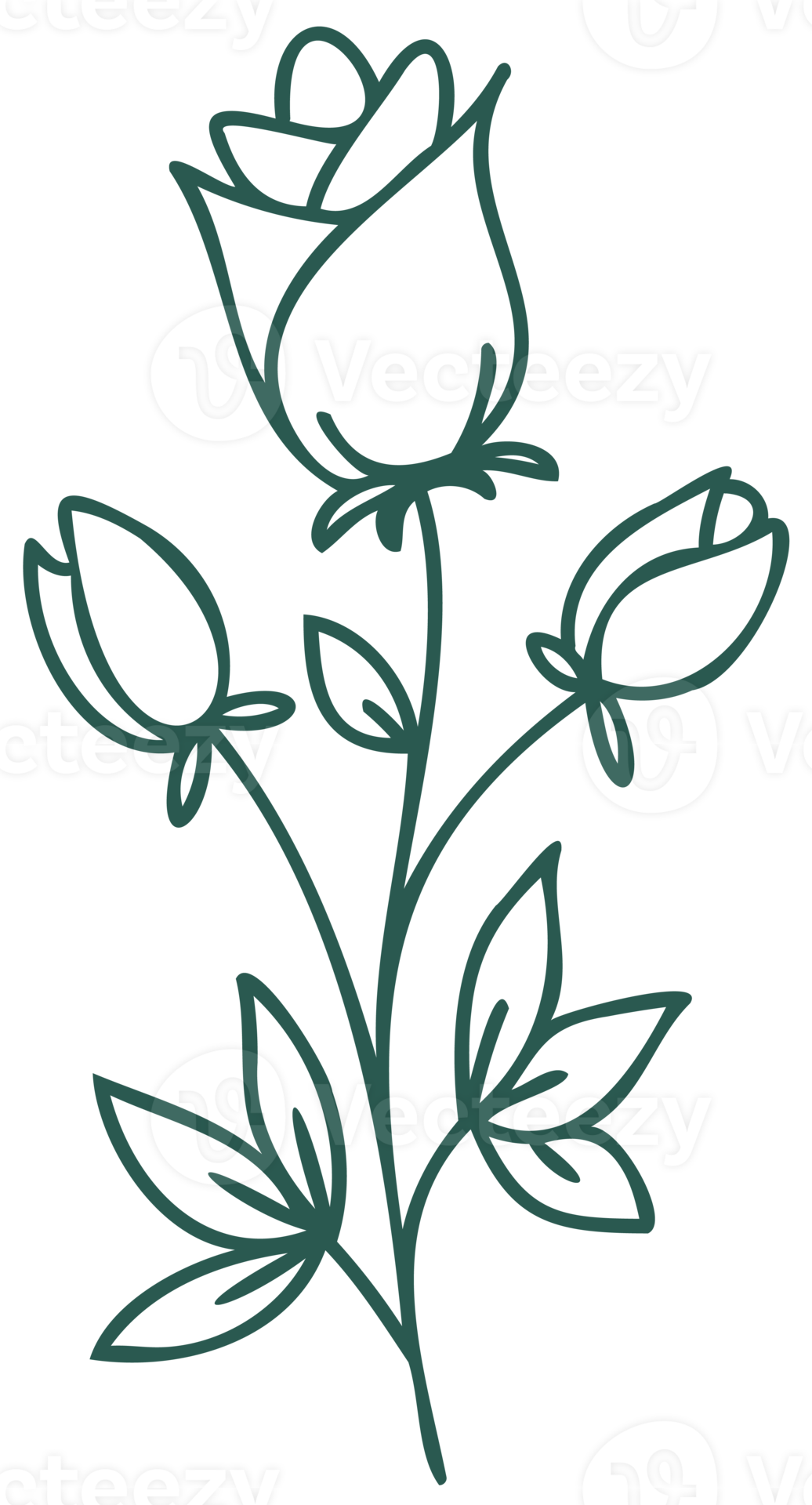 Floral Line Art Linear Botanical Design Element Flower Drawings With Thin Line Collection Of
