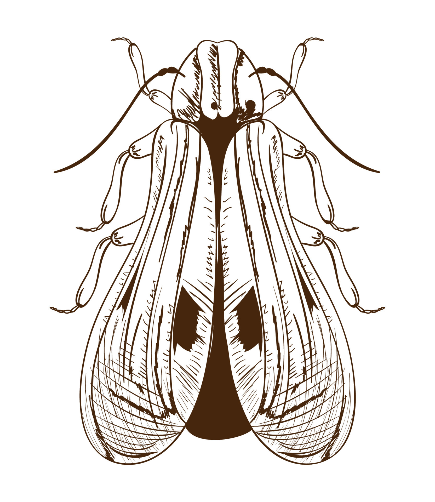 Bug Vector Isolated 13827387 Vector Art At Vecteezy