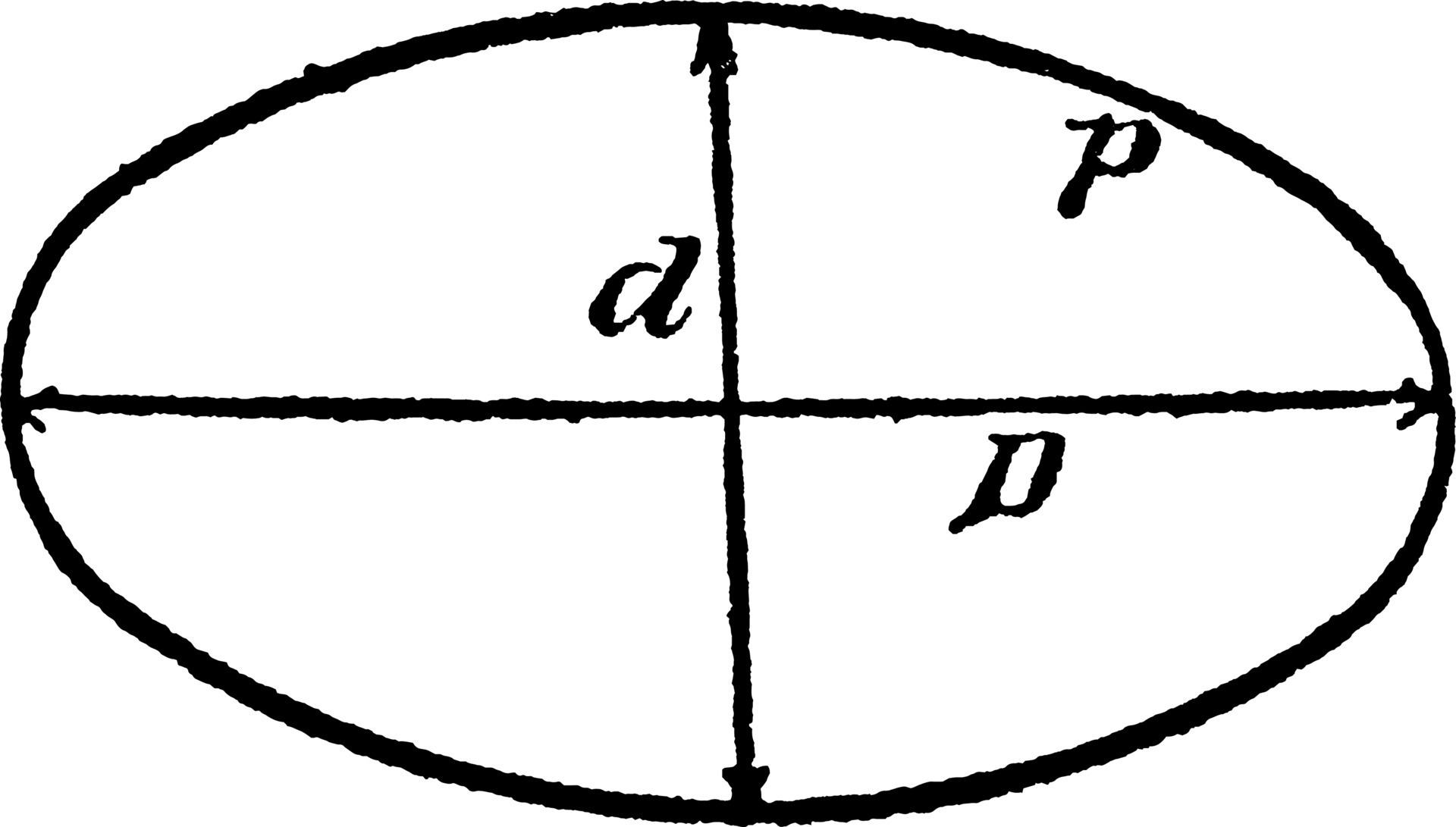 Ellipse, vintage illustration. 13845089 Vector Art at Vecteezy