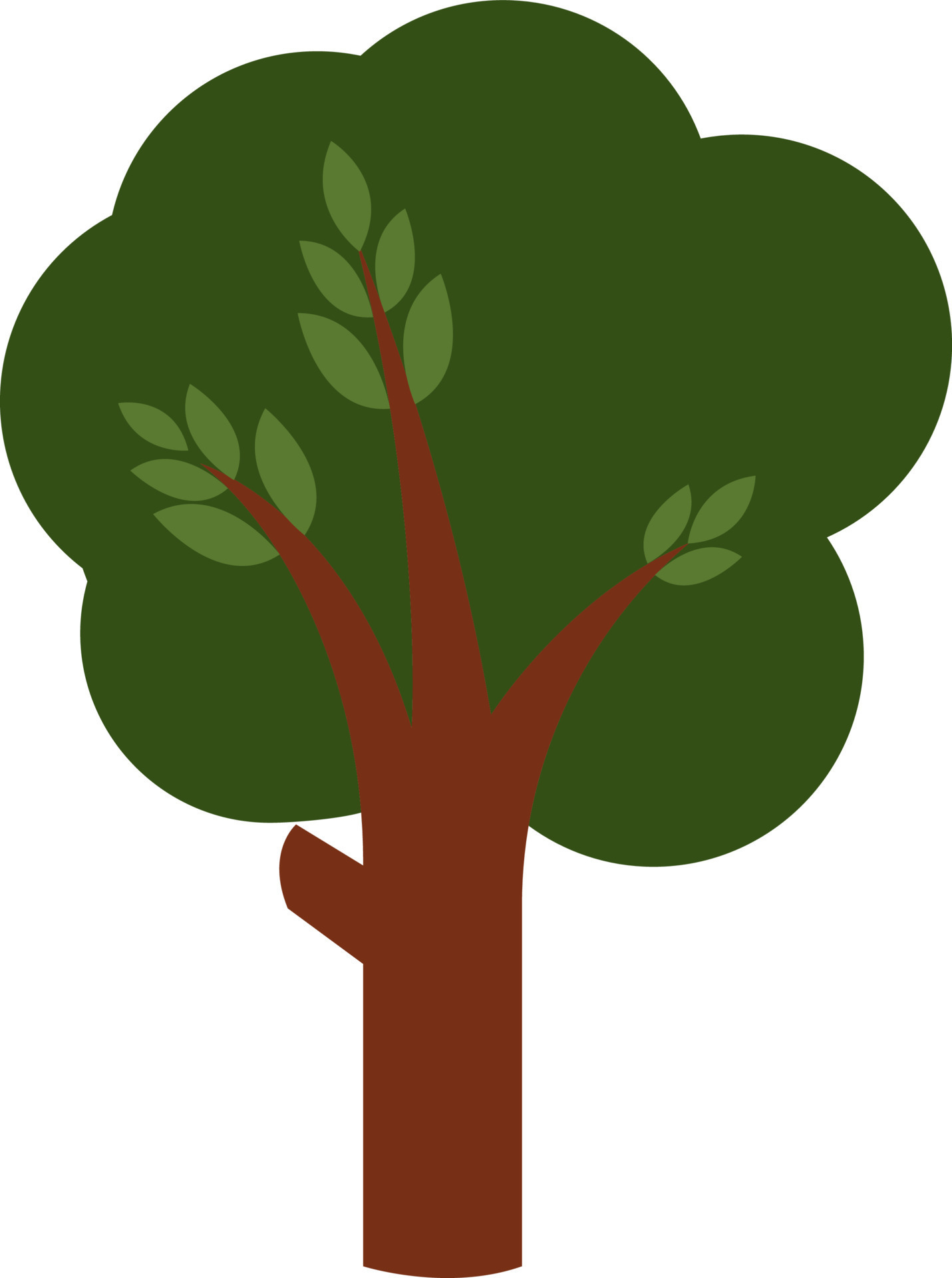 Oak tree in summer, illustration, vector on white background. 13849257 ...