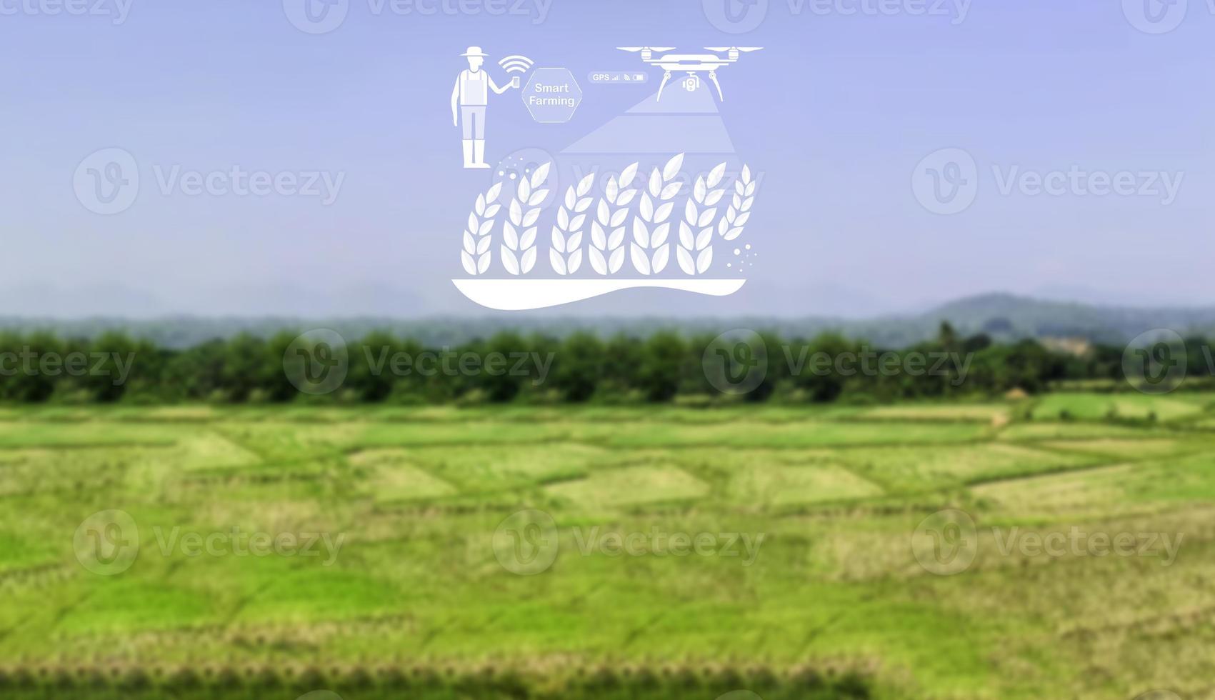 Agriculture Drone Fly To Sprayed Fertilizer On The Rice Fields Industrial Agriculture And Smart