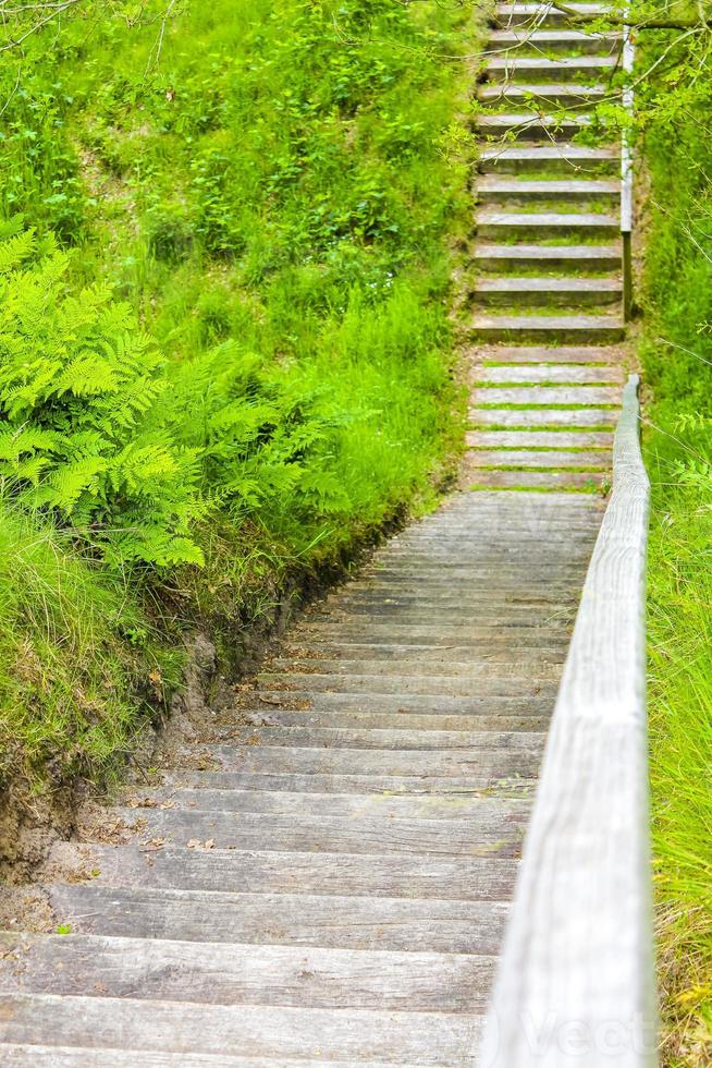 Beautiful Staircase In Nature