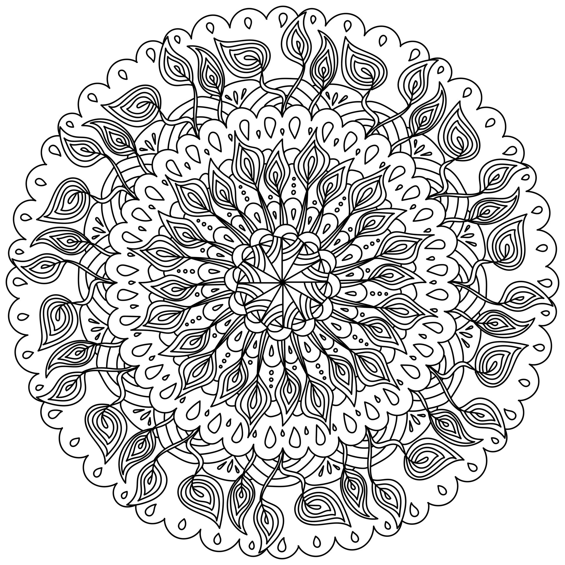 Ornate mandala with peacock feathers, meditative coloring page in the ...