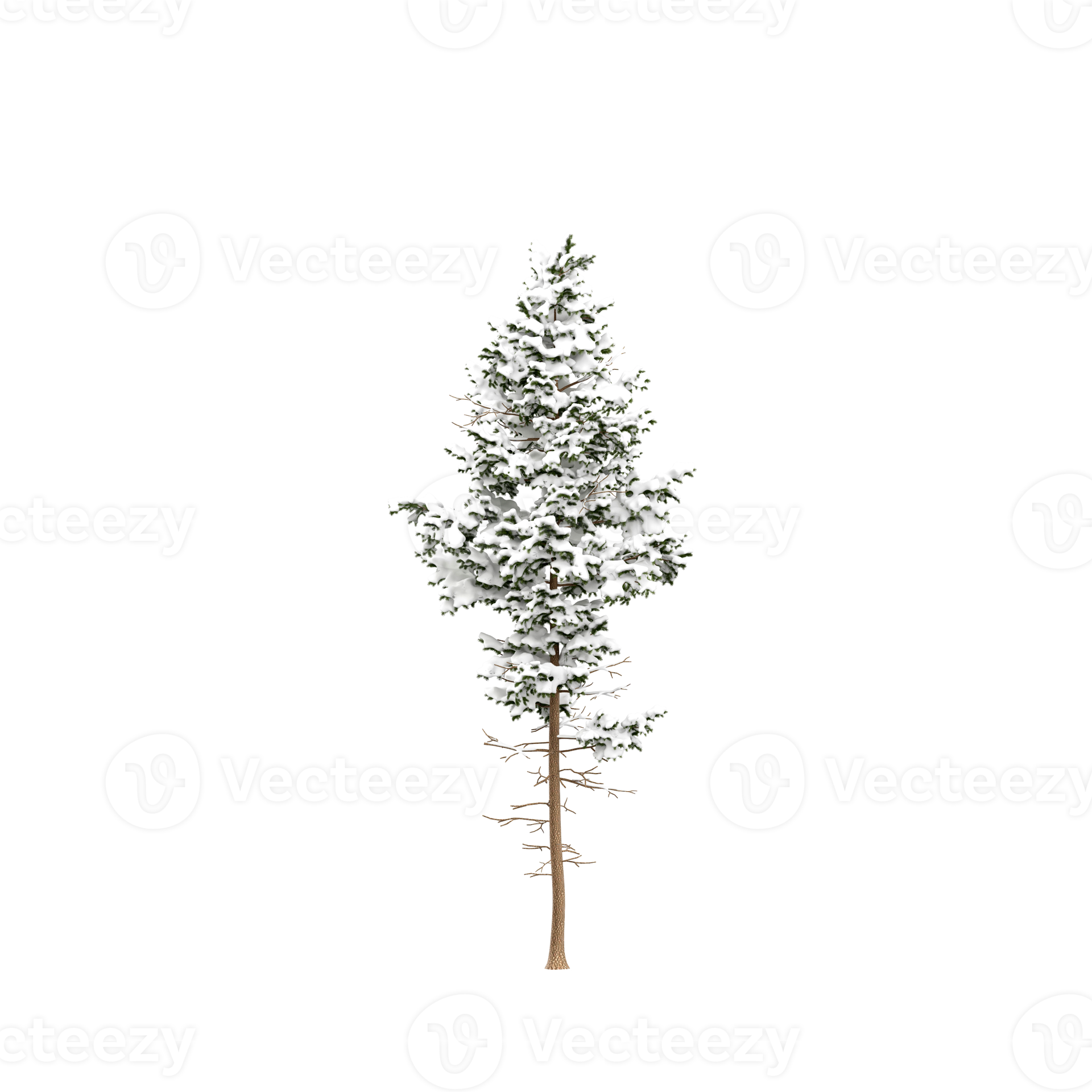 Isometric Tree 3D render 13922502 PNG
