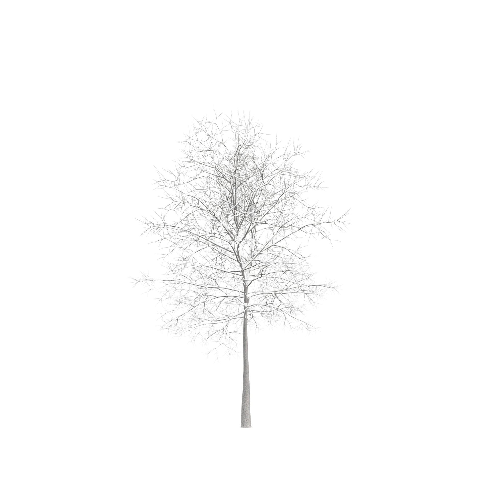 Isometric Tree 3D render 13922511 PNG