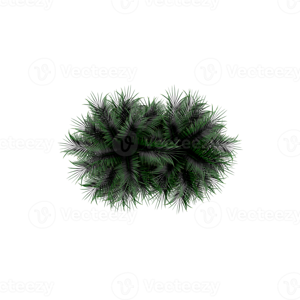 Isometric Tree 3D render 13922516 PNG