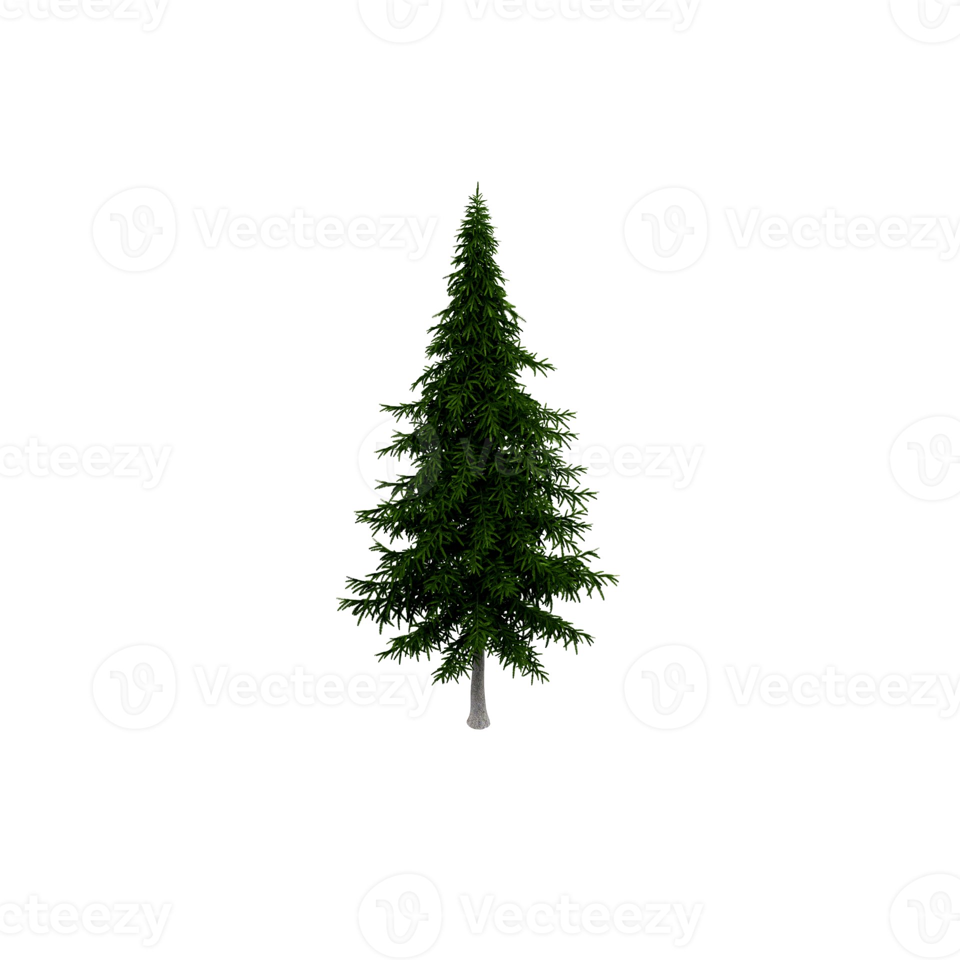 Isometric Tree 3D render 13922886 PNG