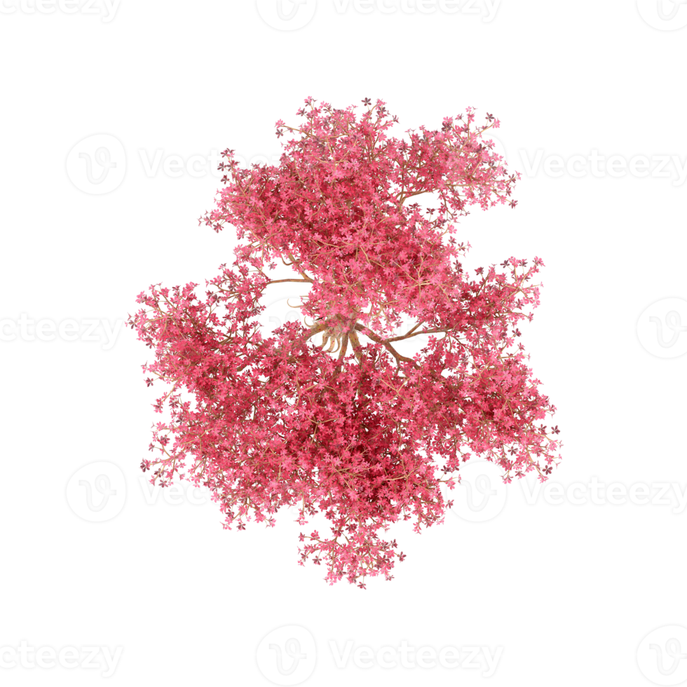 Isometric Tree 3D render 13922888 PNG