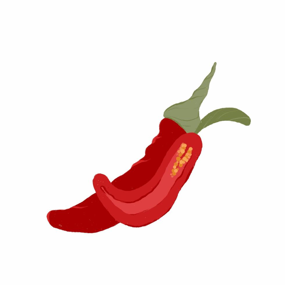 Red Hot Chili Pepper Hand Drawn 13935804 Vector Art At Vecteezy