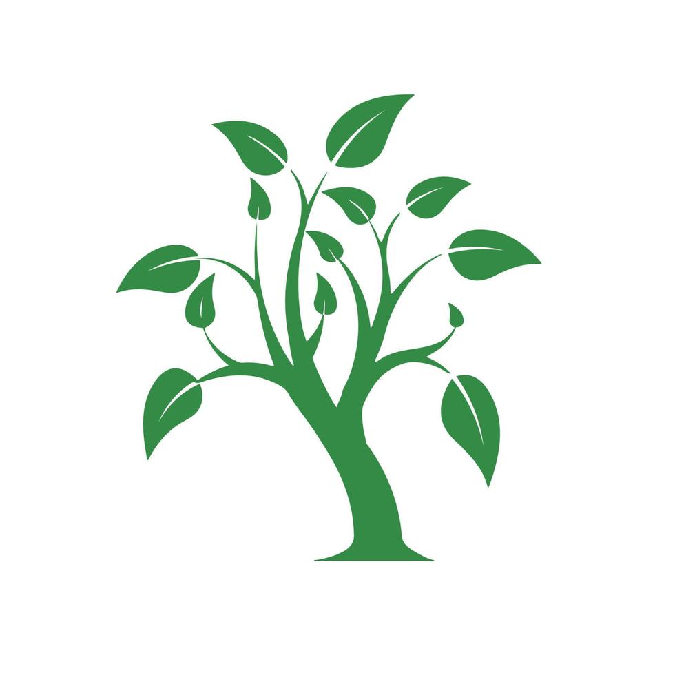 Free tree vector 13947822 Vector Art at Vecteezy