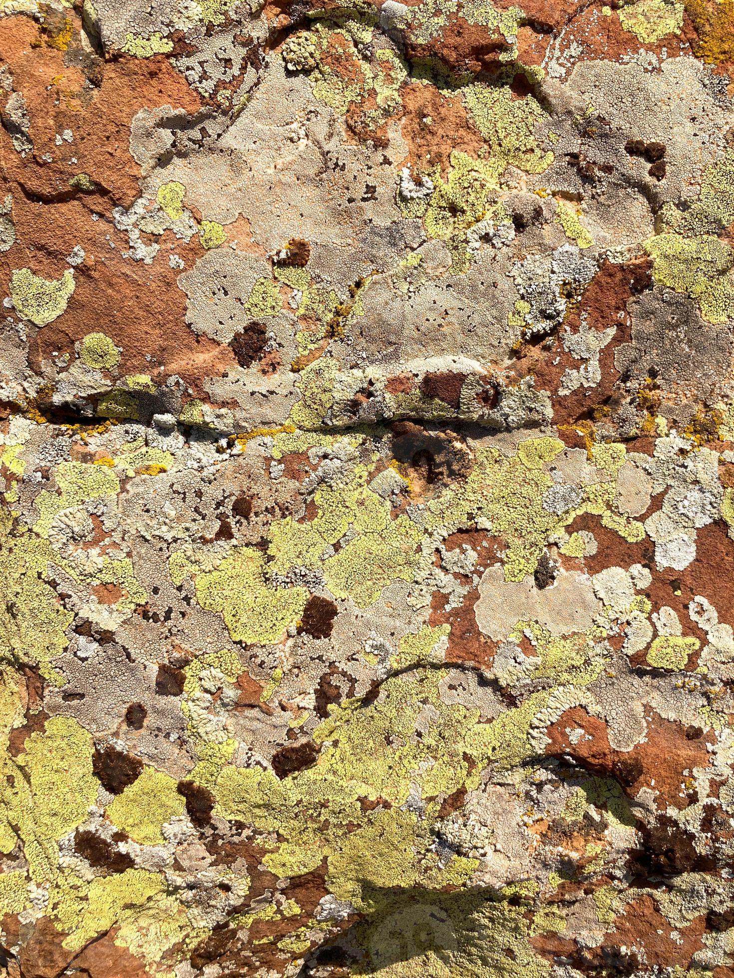 Rough stone texture, stone surfaces seamless texture 13962214 Stock ... Rough stone texture, stone surfaces seamless texture 13962214 Stock ...