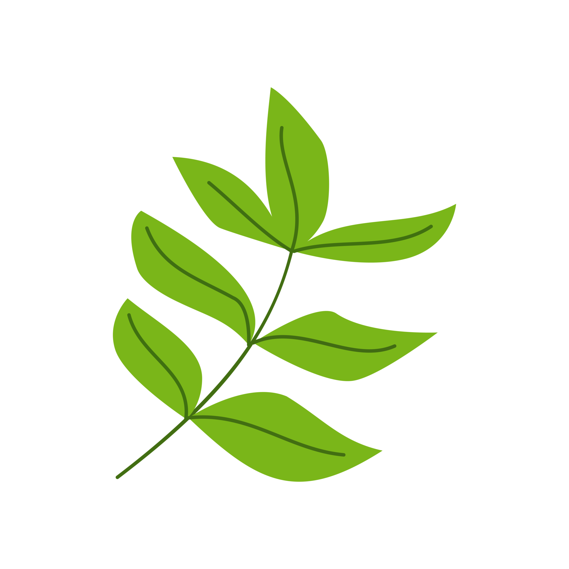 Simple leaf illustration for nature design element 14011994 PNG Simple leaf illustration for nature design element 14011994 PNG