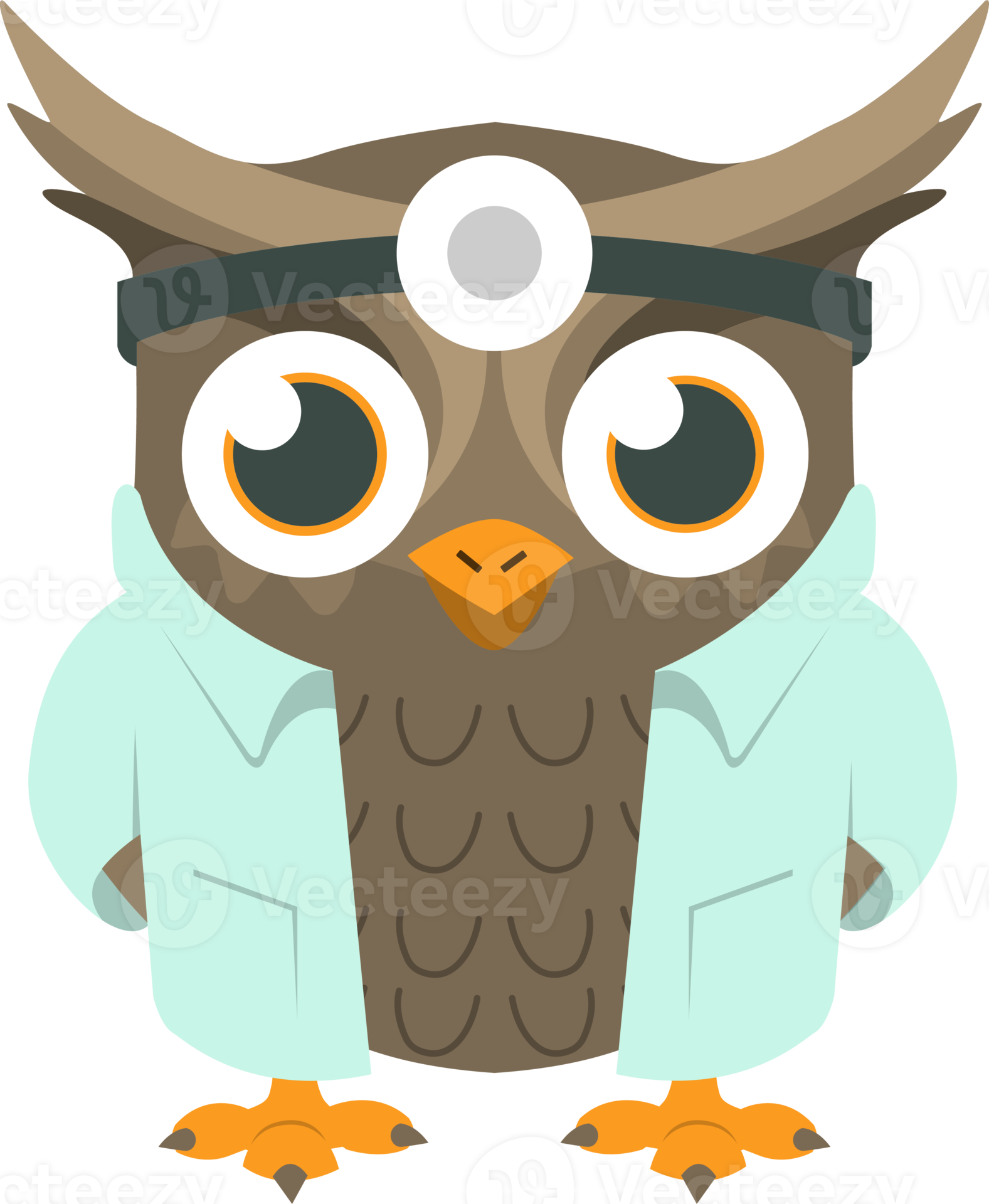 Doctor Owl PNG Illustration 14012659 PNG