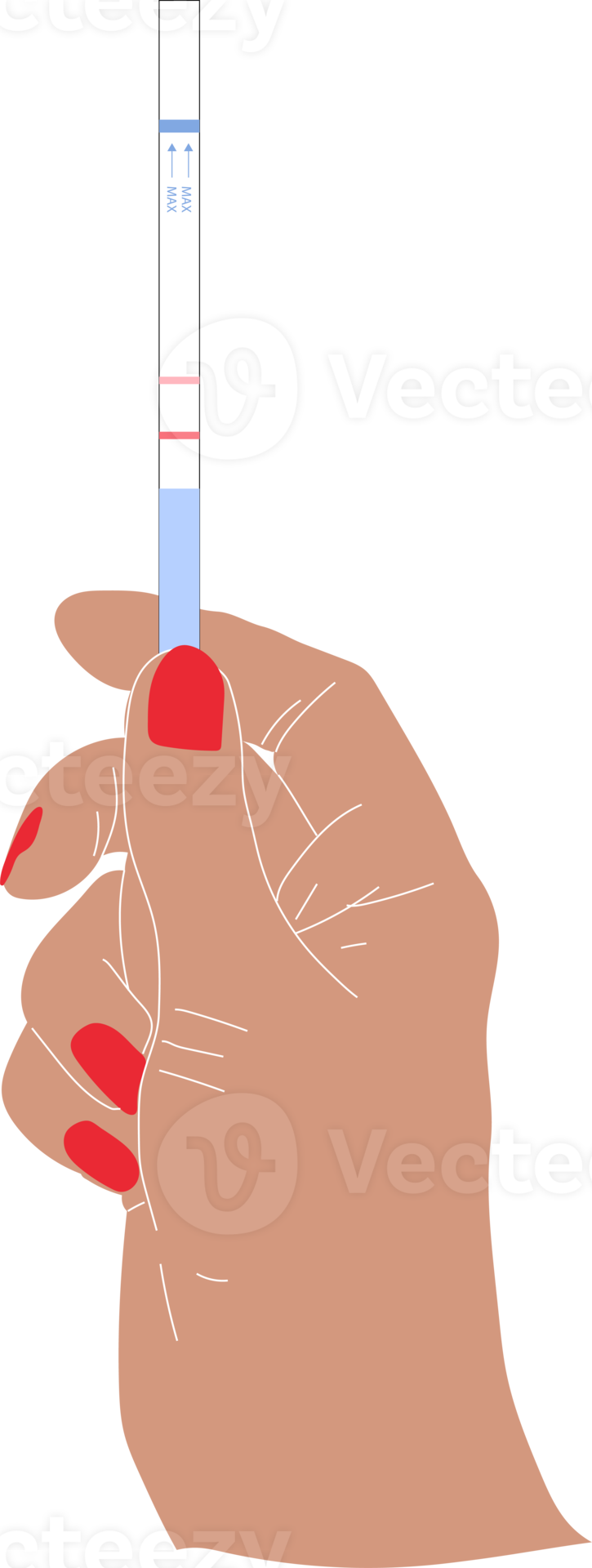 Illustration Of Hand Holding Positive Pregnancy Test Hand Drawn Style