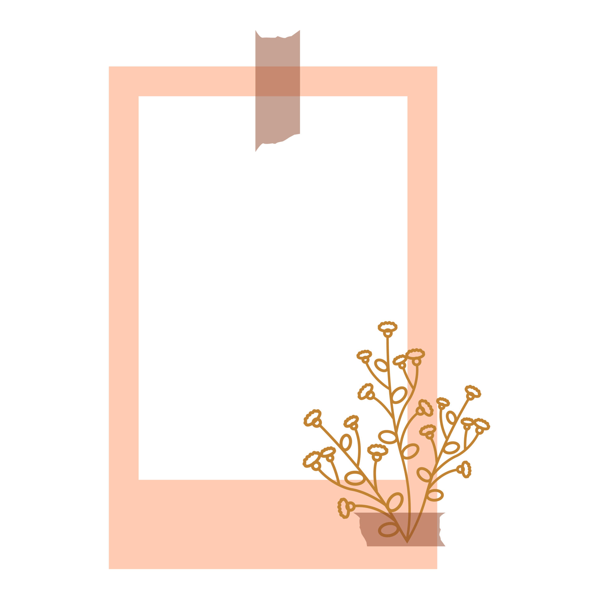 Aesthetic Photo Frame Png Hd Infoupdate