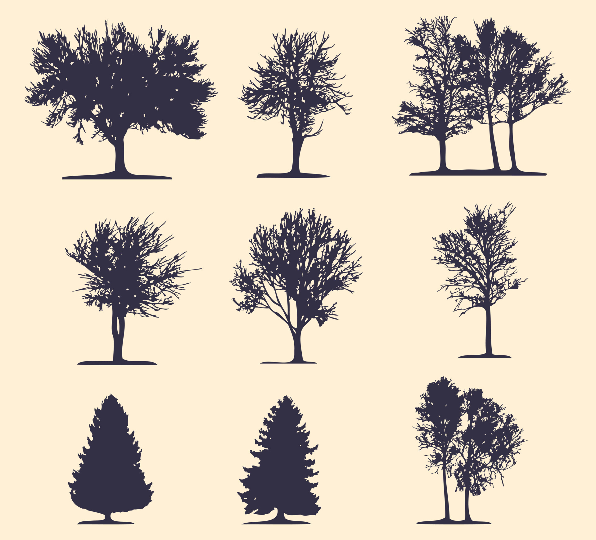 Set of silhouettes of deciduous and coniferous trees 14047327 Vector ...