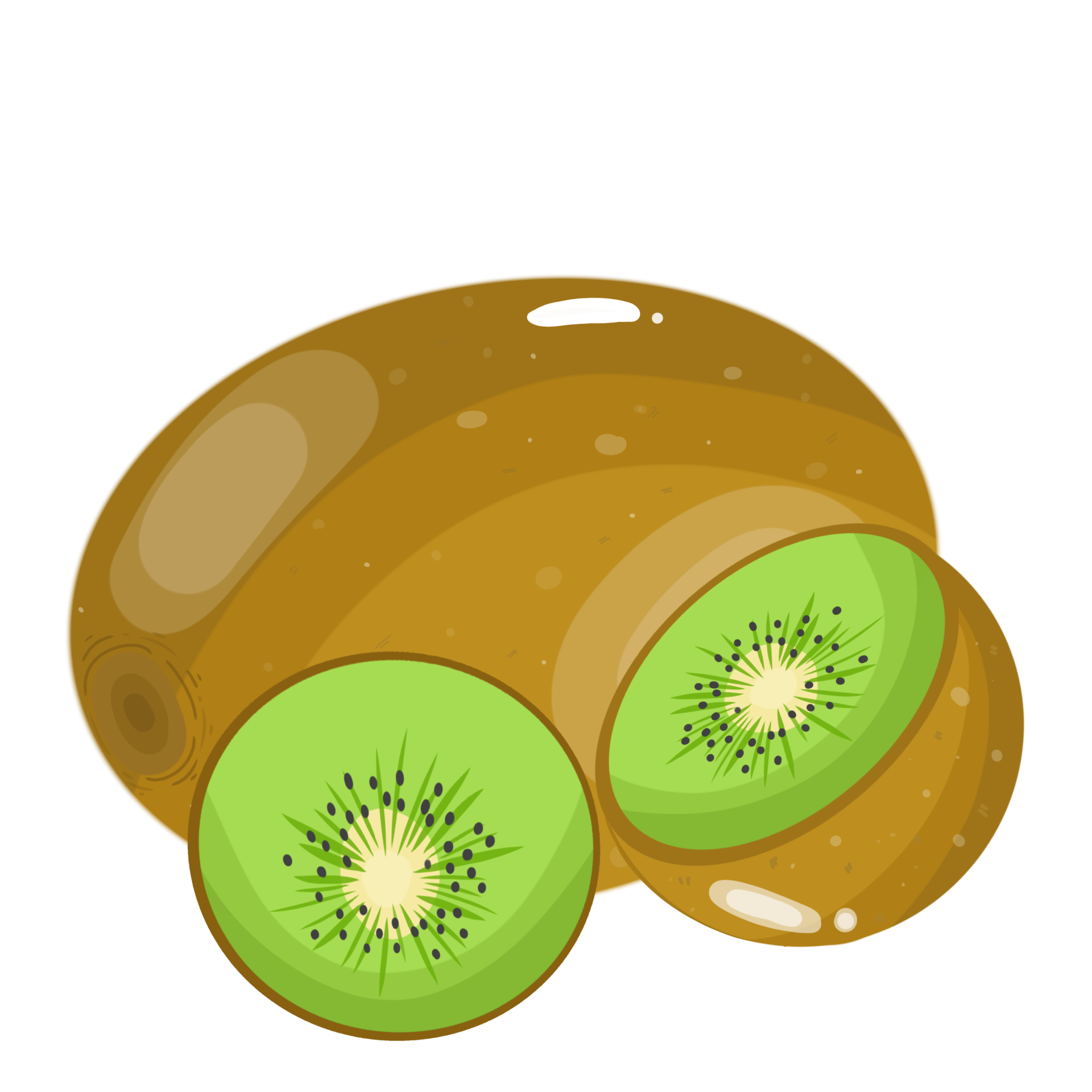 Free kiwi fruit illustration design, half and slice 14059373 PNG with ...