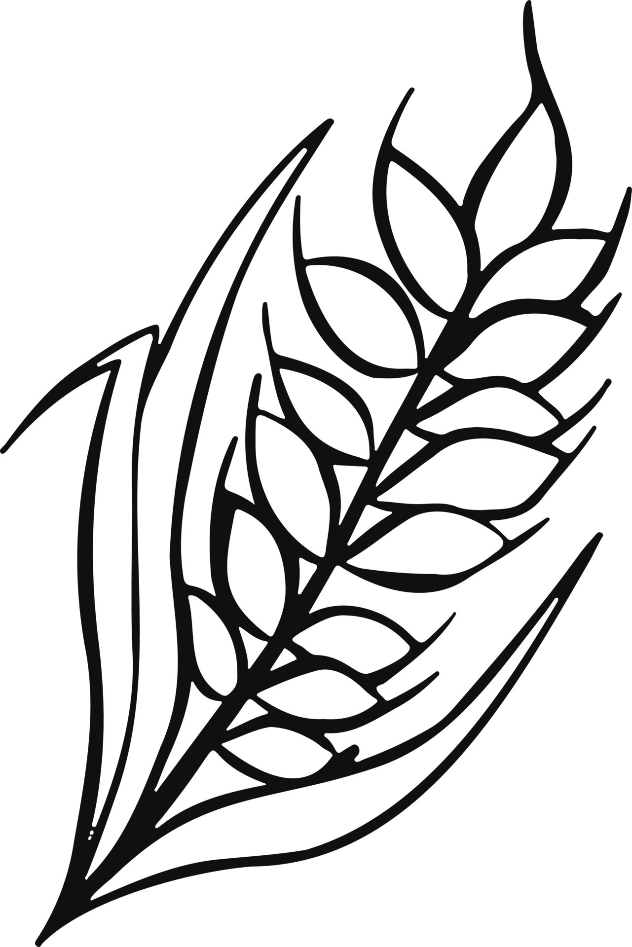 Wheat Stalk Wheat Beer 14068769 Vector Art At Vecteezy