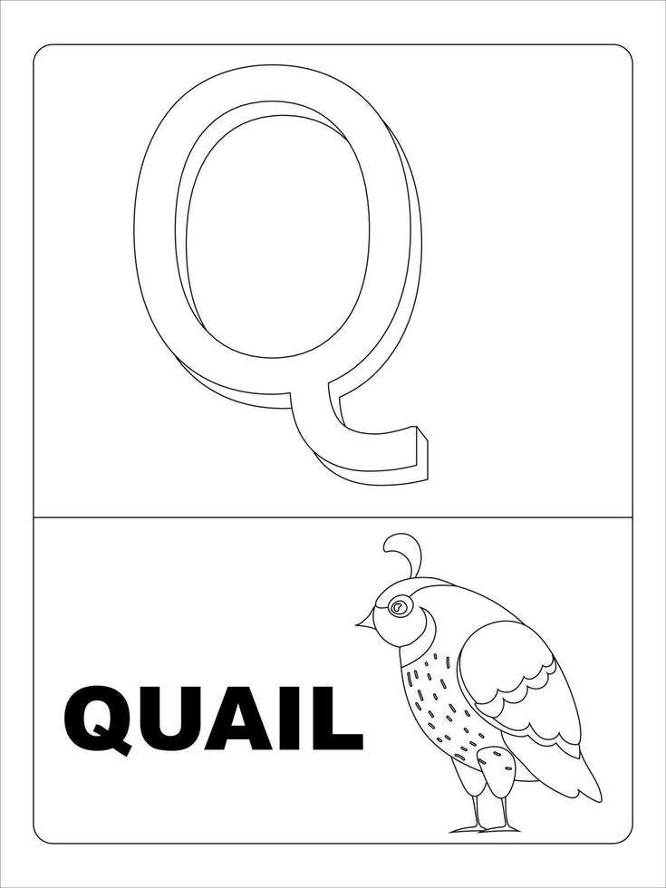 Alphabet Animal Coloring page for kids line art 14159124 Vector Art at ...