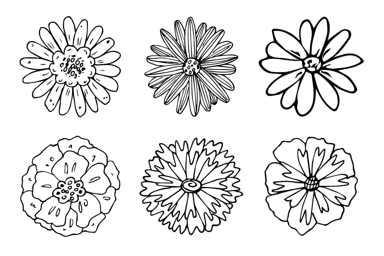 imágenes prediseñadas de flores simples. conjunto de garabatos florales ...