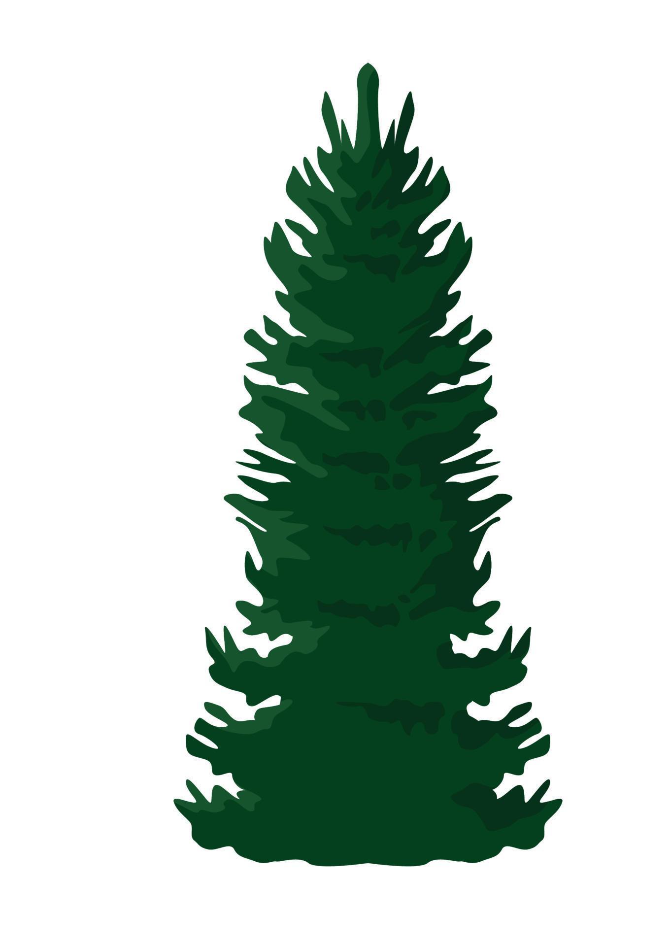 pine tree plant forest 14175768 Vector Art at Vecteezy