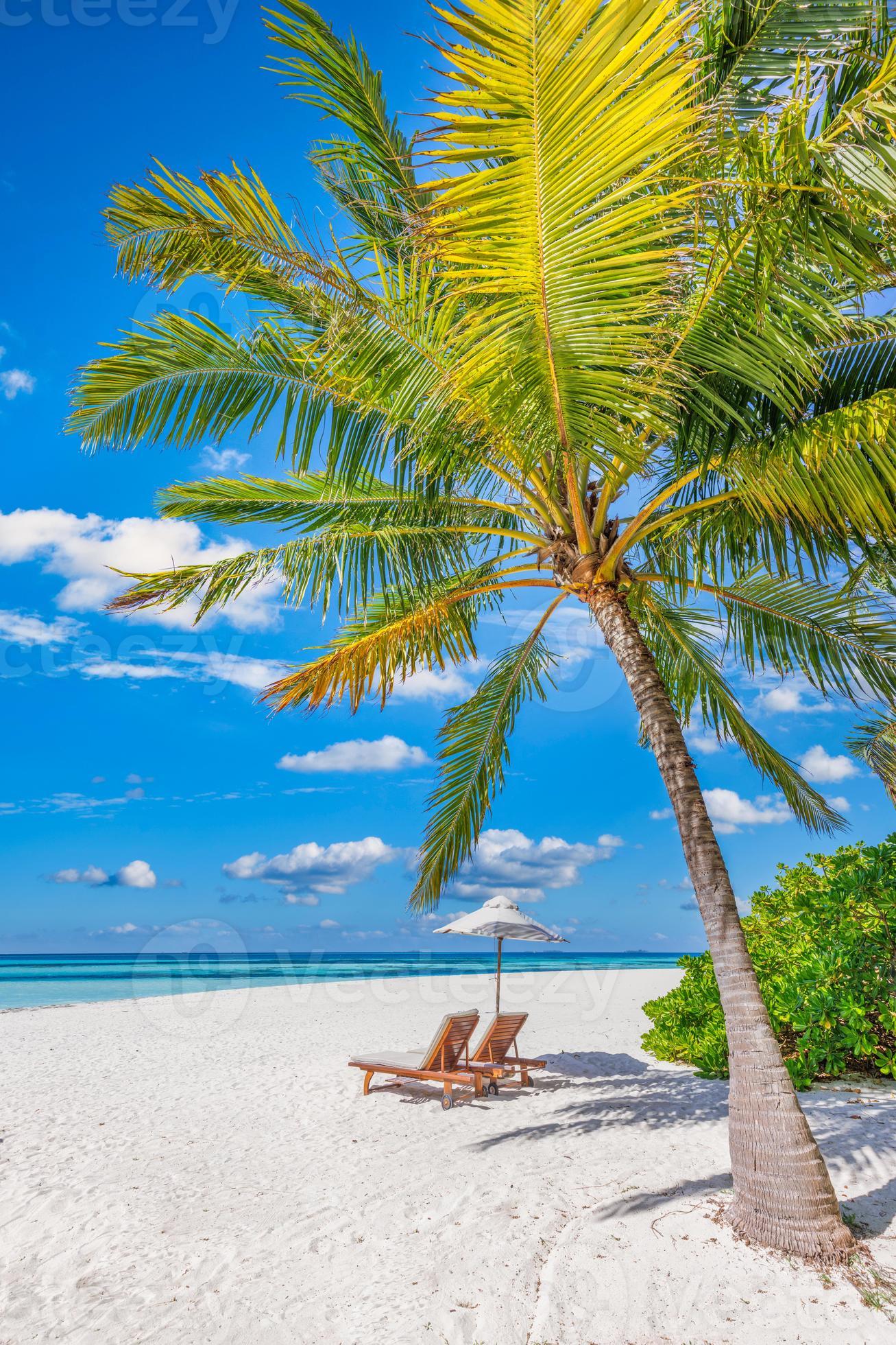 Beautiful panorama nature. Tropical sunny beach as summer island ...