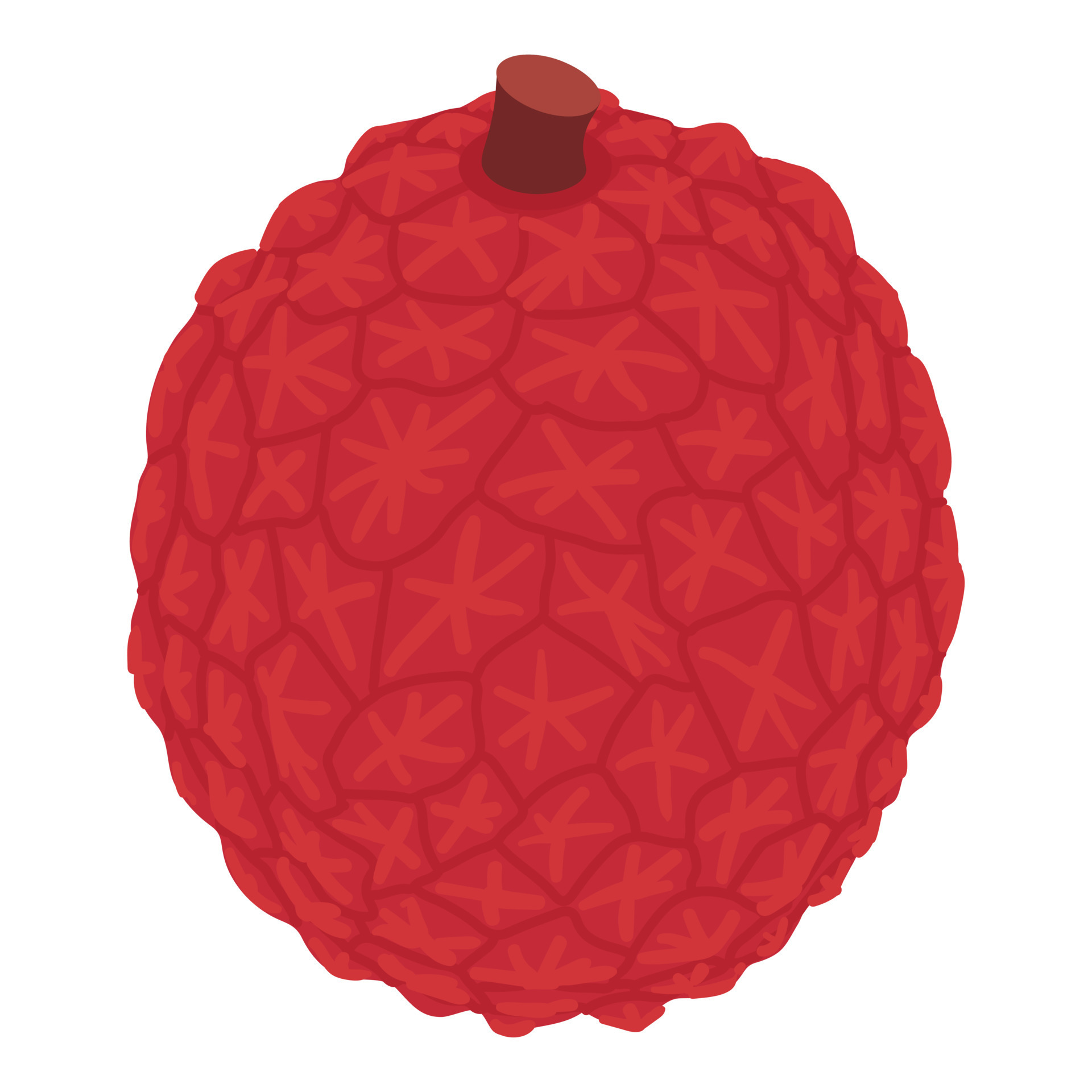 Tropical lychee icon, isometric style 14224662 Vector Art at Vecteezy Tropical lychee icon, isometric style 14224662 Vector Art at Vecteezy