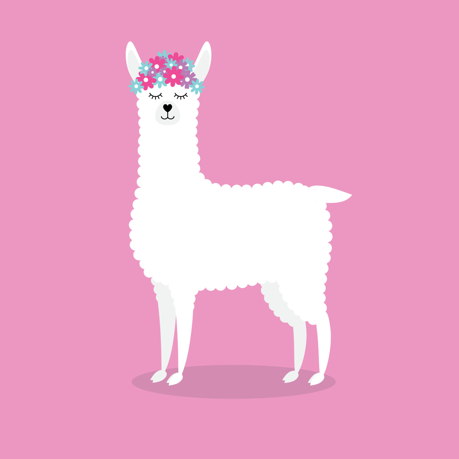 Funny Llamas Gifs