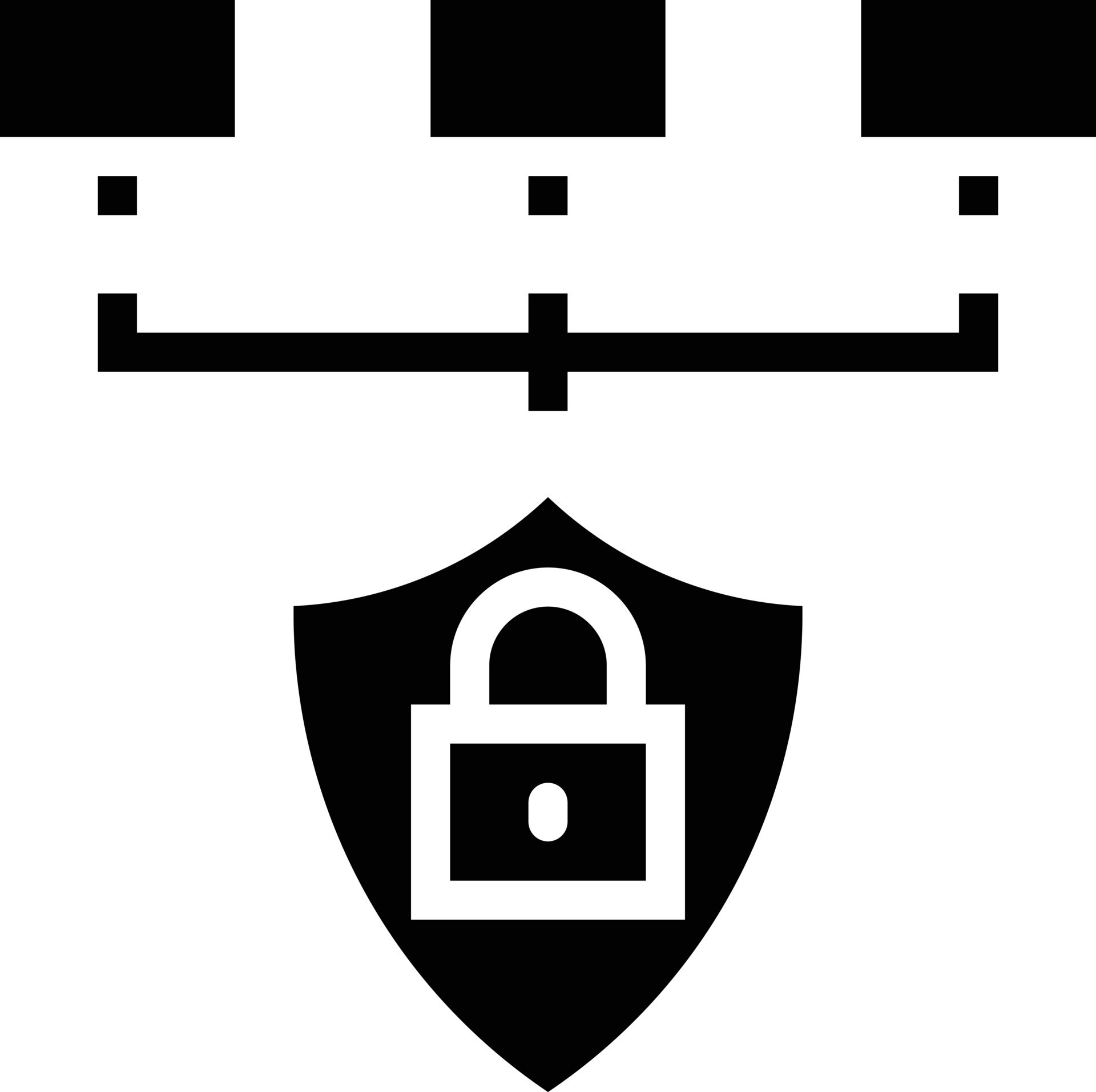 Network Safety Protected Software Development Solid Icon 14236919