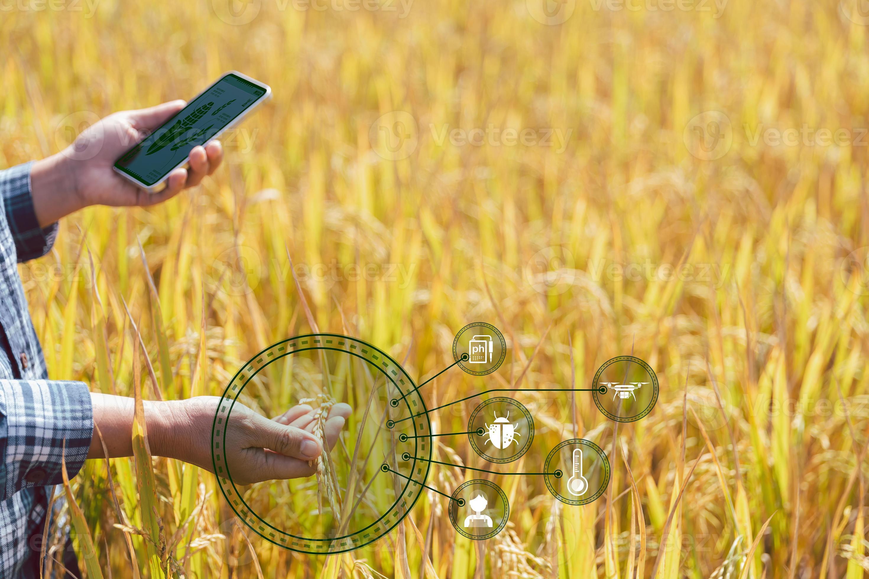 Smart Farming with Internet of Things, IoT concept. Agriculture and ...