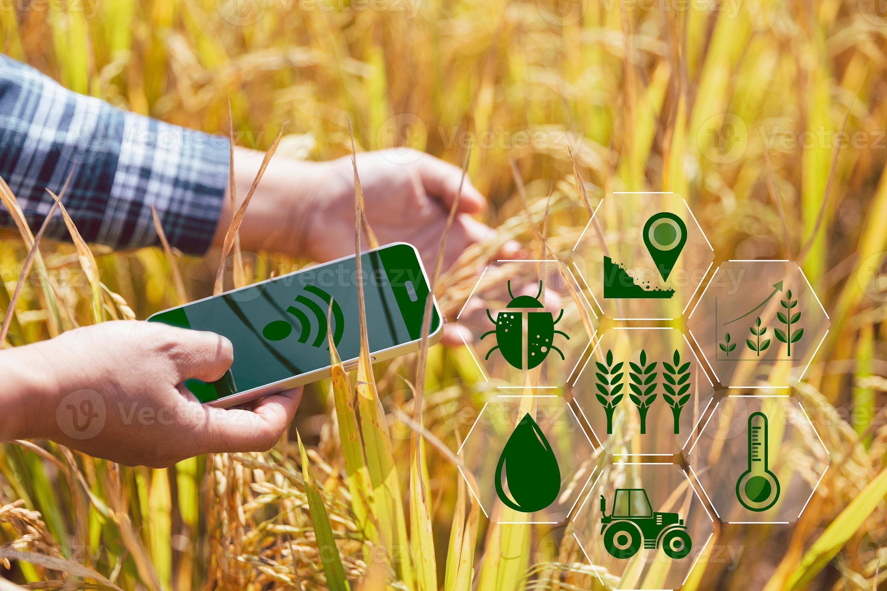 Smart Farming with Internet of Things, IoT concept. Agriculture and ...