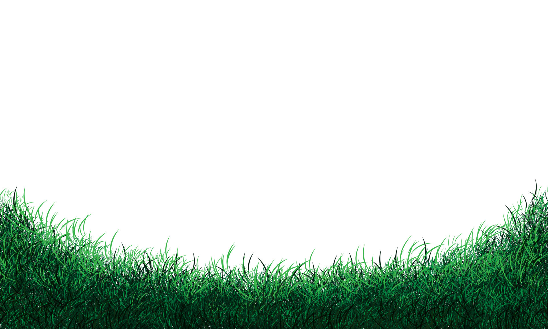 Realistic Green Grass Field Curve On White Background Vector 14298370 Vector Art At Vecteezy