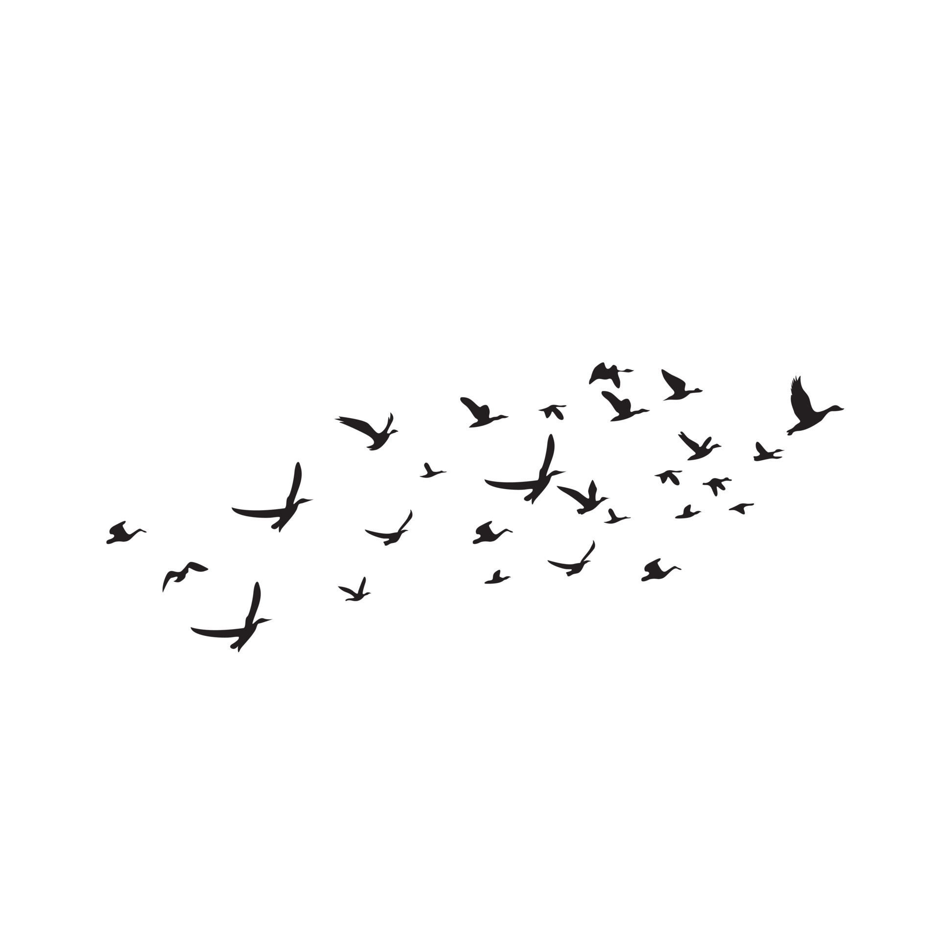 Flying birds vector design. 14303555 Vector Art at Vecteezy