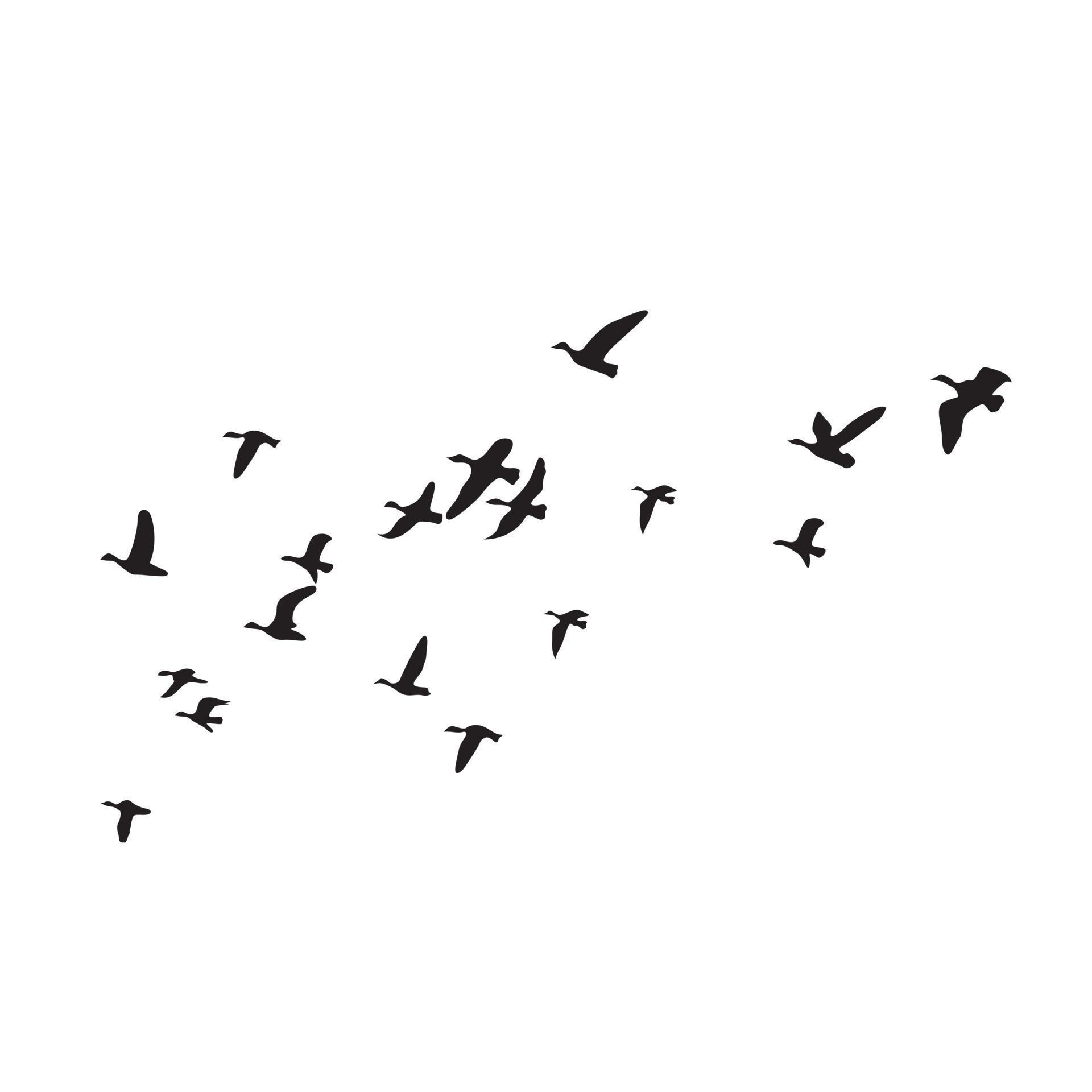 Flying birds vector design. 14303563 Vector Art at Vecteezy