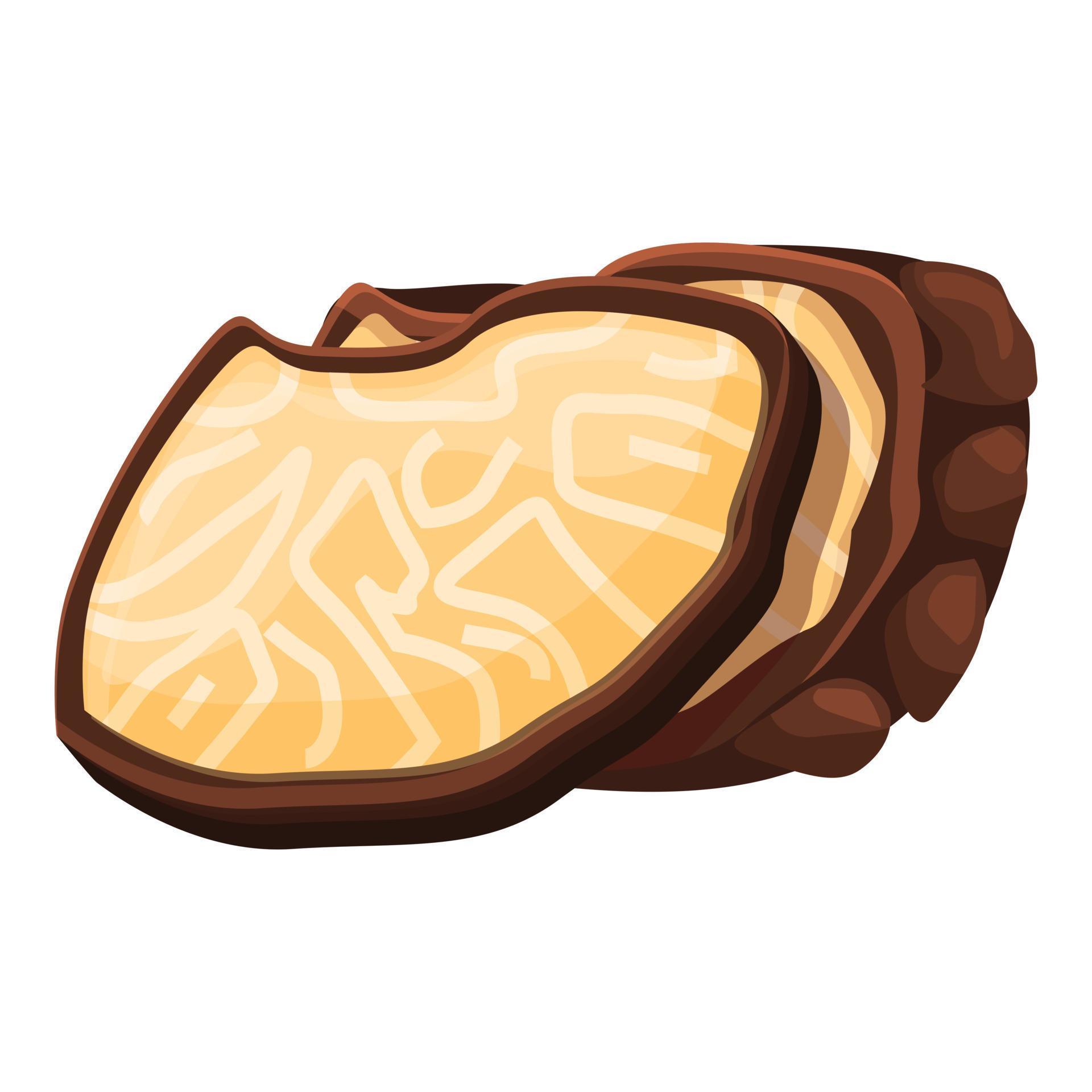 Cutted Slices Truffle Icon Cartoon Vector Mushroom Fungus 14309048 Vector Art At Vecteezy