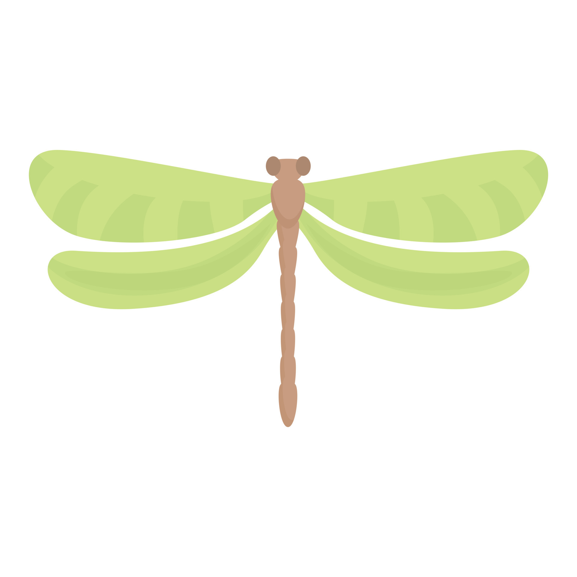 Green Dragonfly Icon Cartoon Vector Wing Bug 14318298 Vector Art At