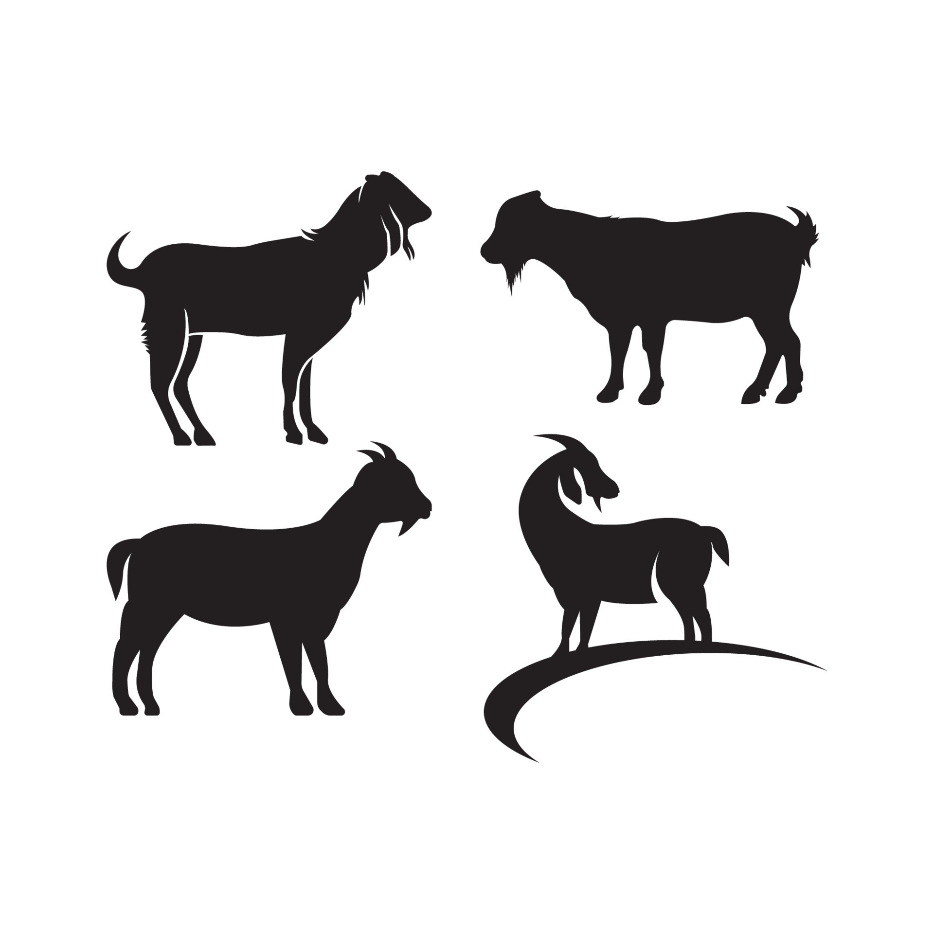 sheep icon. vector illustration 14321584 Vector Art at Vecteezy