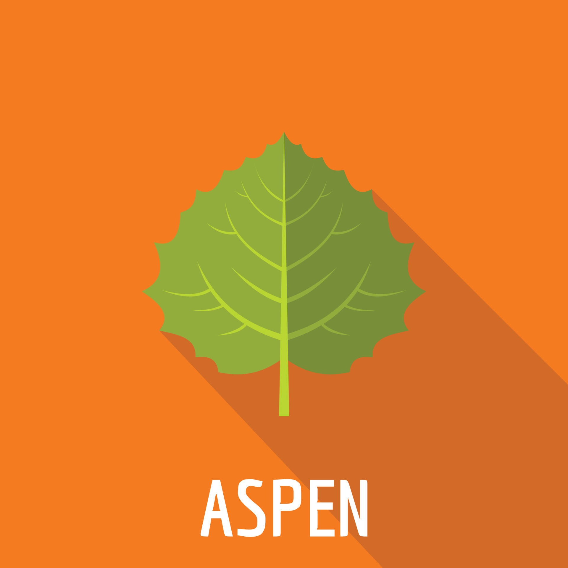 Aspen leaf icon, flat style 14337650 Vector Art at Vecteezy Aspen leaf icon, flat style 14337650 Vector Art at Vecteezy