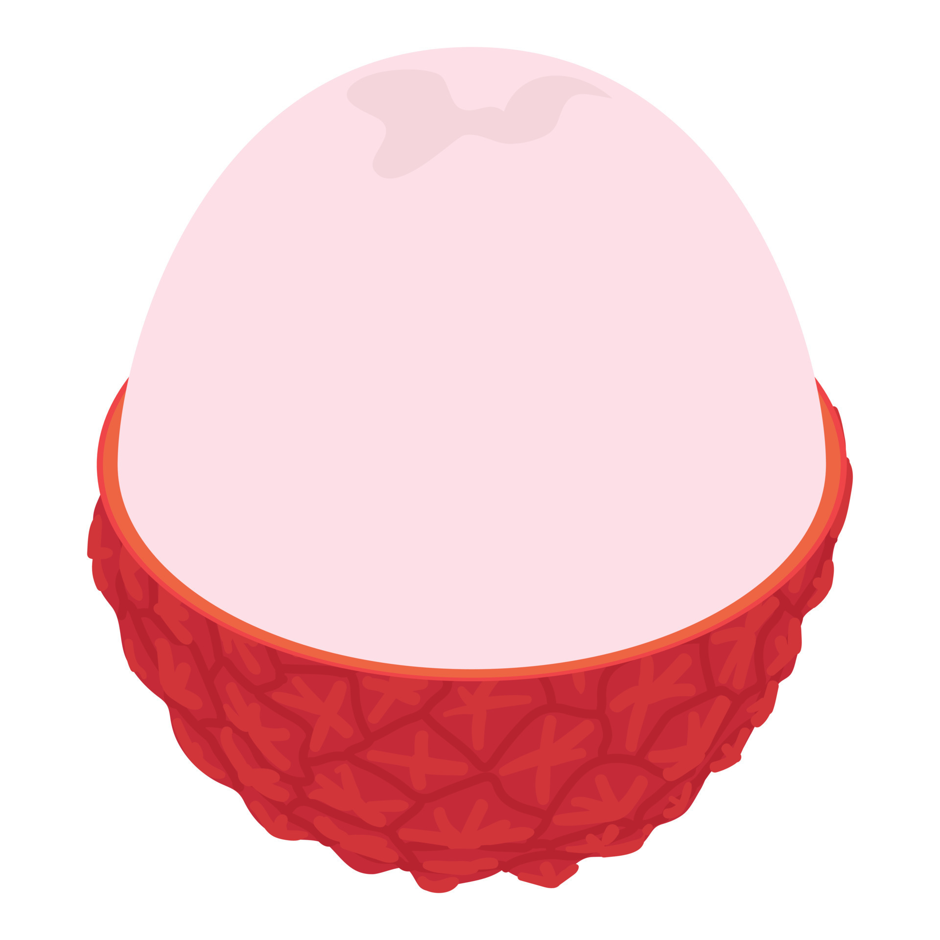Exotic lychee fruit icon, isometric style 14360101 Vector Art at Vecteezy Exotic lychee fruit icon, isometric style 14360101 Vector Art at Vecteezy