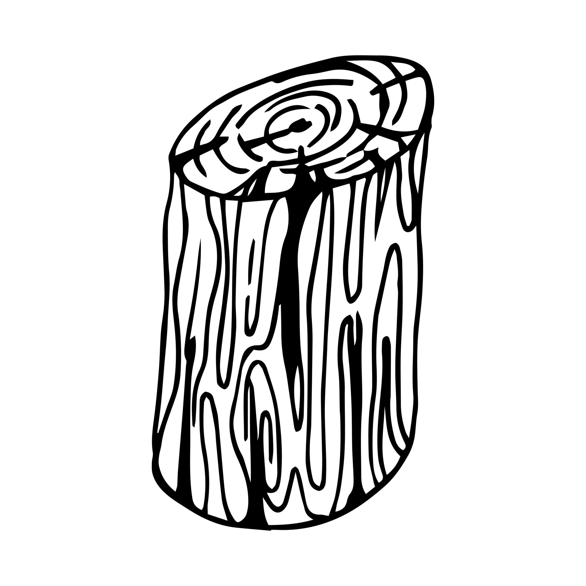 Tree Trunk Line Drawing