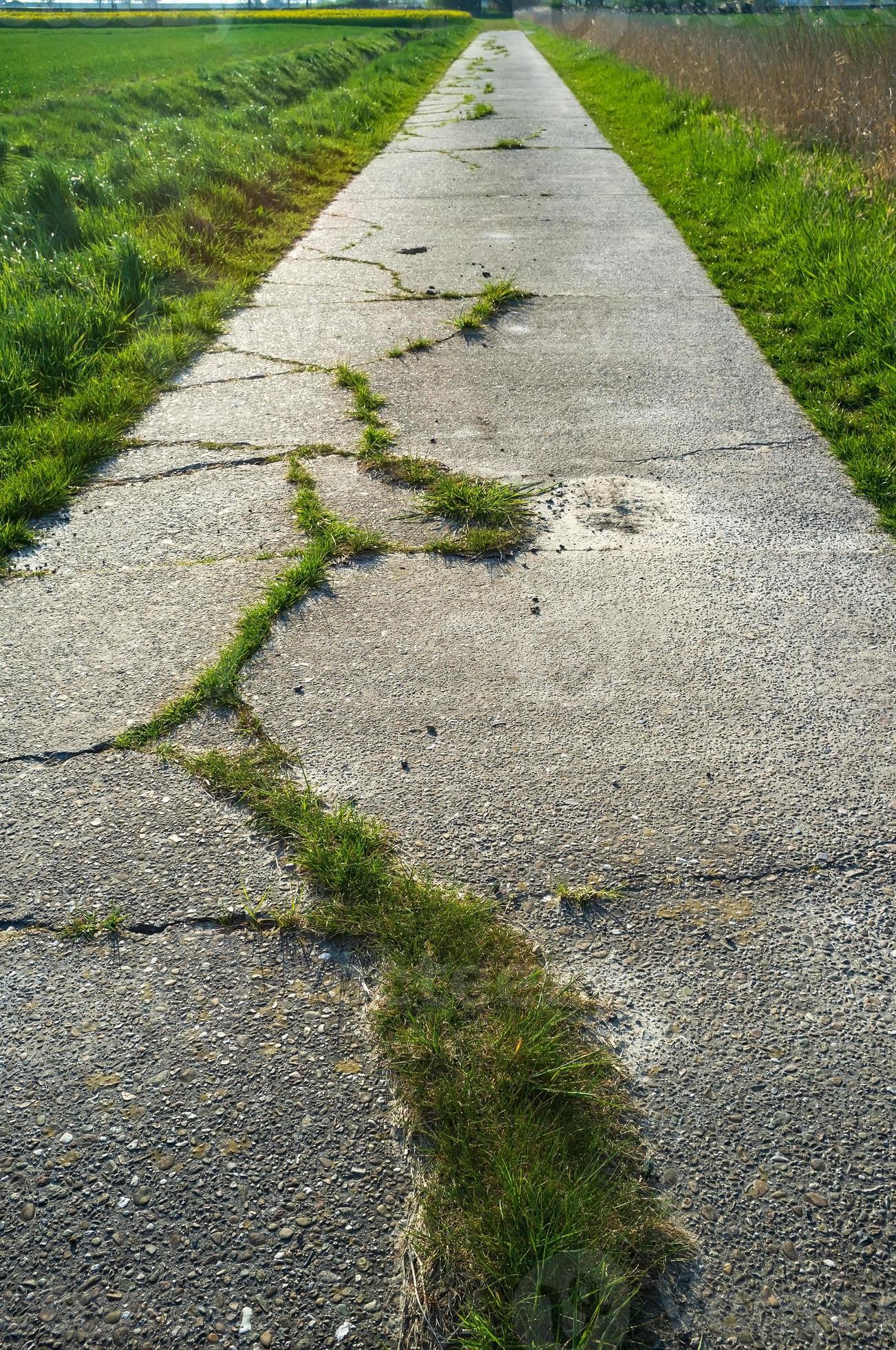 Old concrete path with cracks and overgrown with grass going through the fields, used for ...