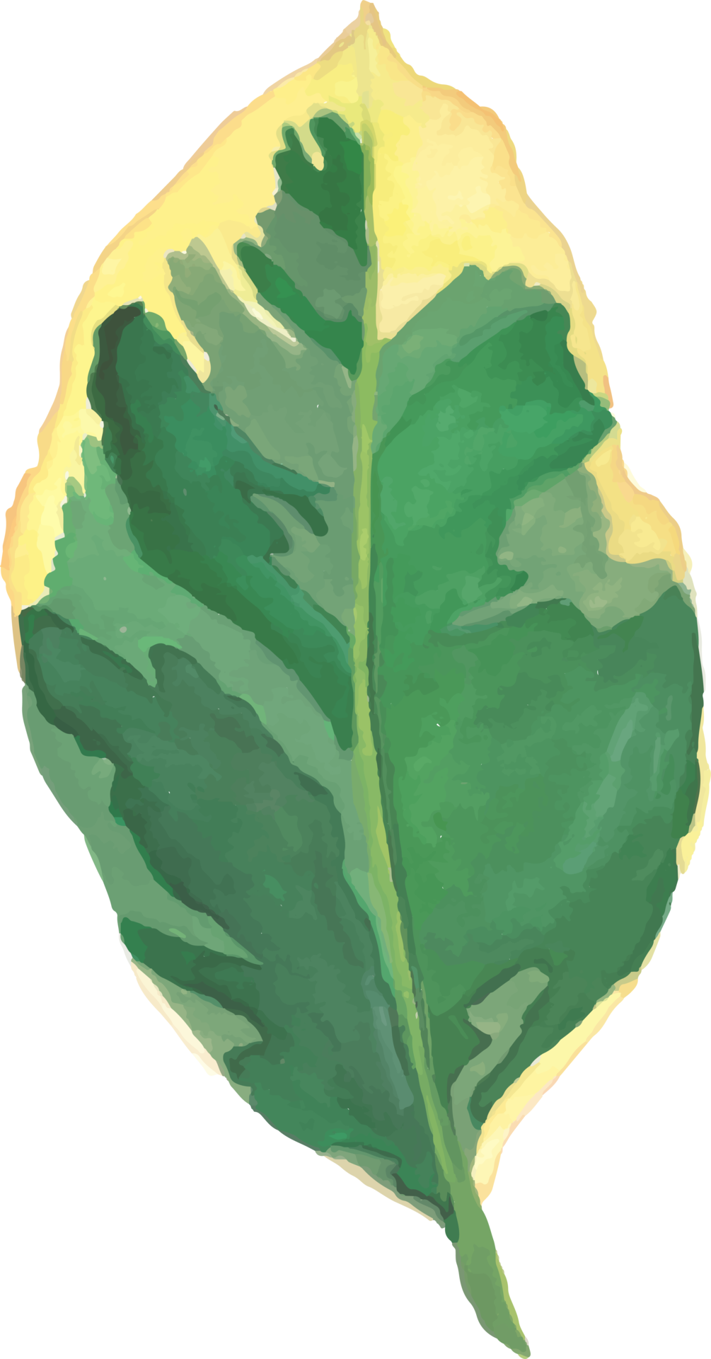 beautiful isolated green leaf gouache painting illustration 14390210 PNG