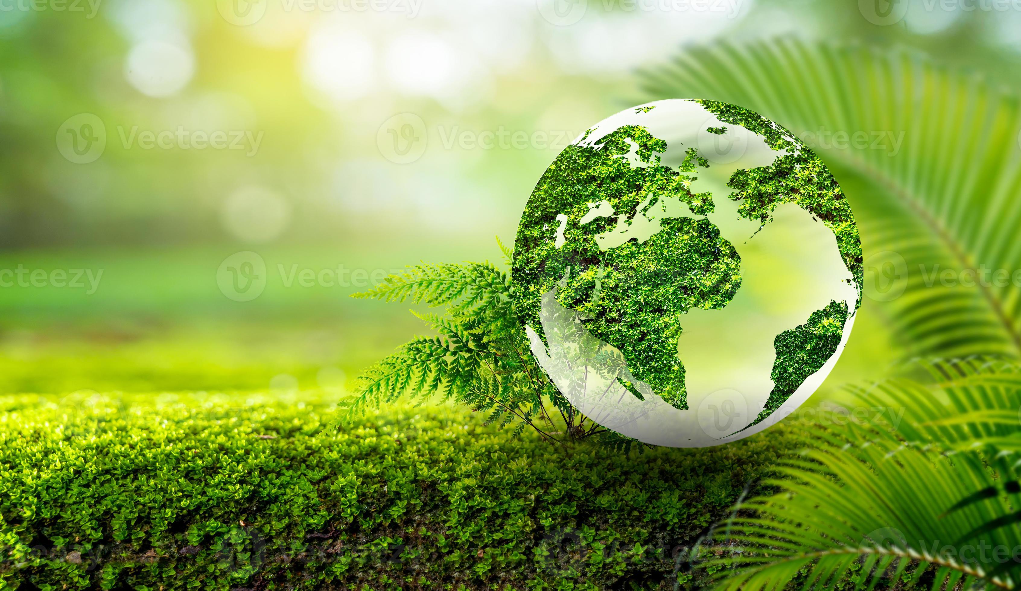 Concept Save the world save environment The world is in the grass of the green bokeh background ...