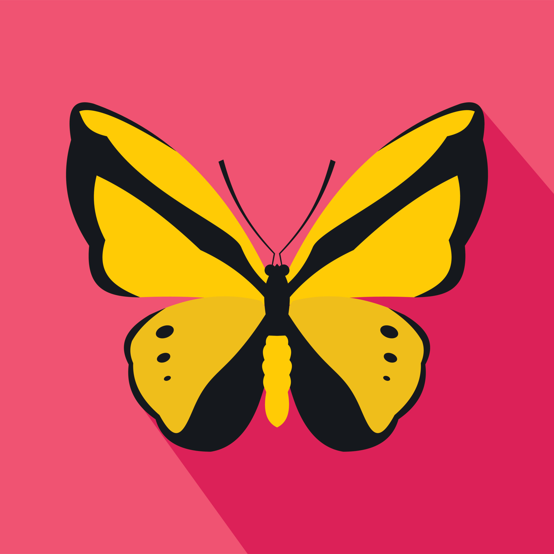icono de mariposa, estilo plano 14426651 Vector en Vecteezy