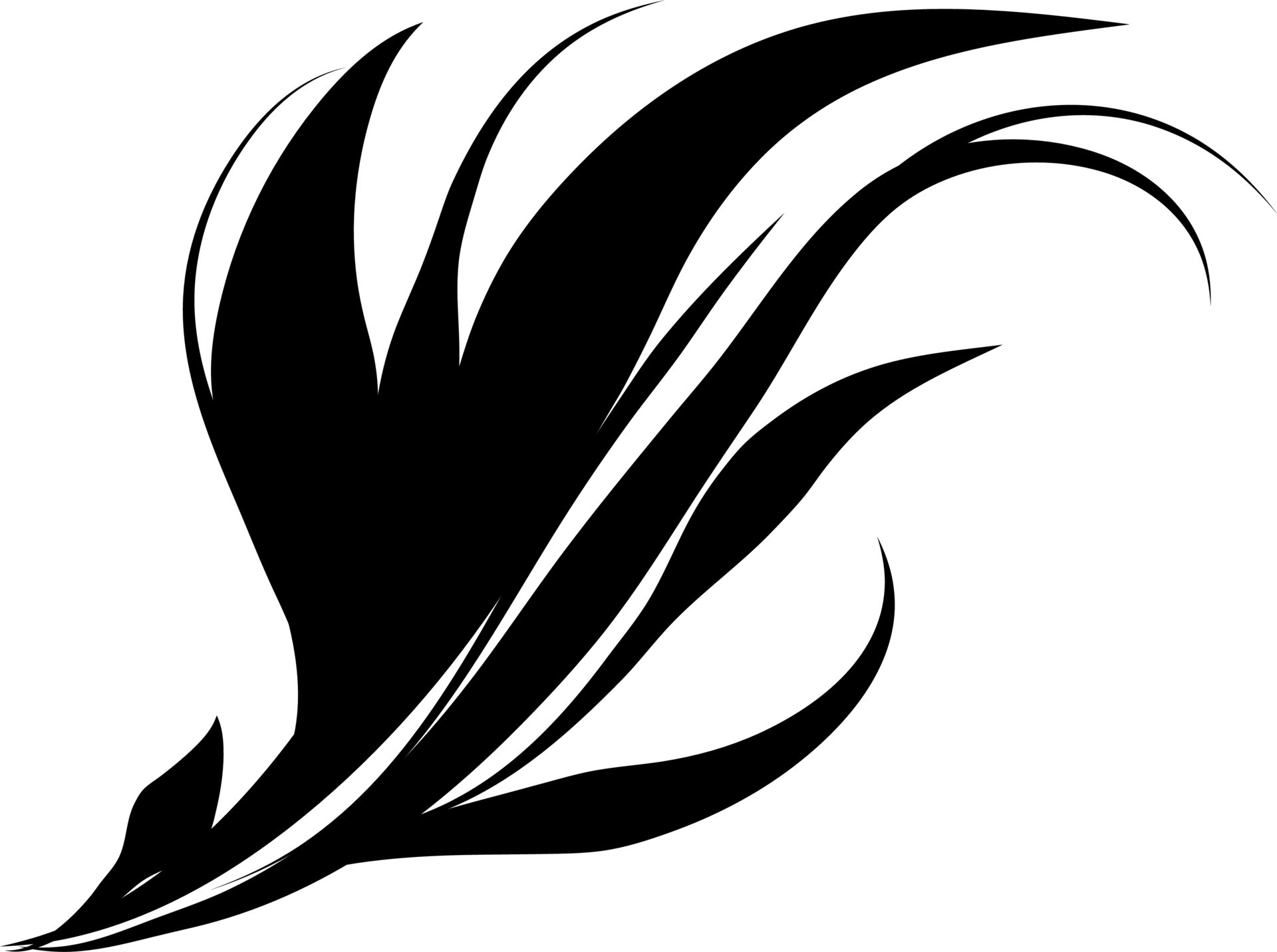 Calligraphic swirl element vector 14433560 Vector Art at Vecteezy Calligraphic swirl element vector 14433560 Vector Art at Vecteezy