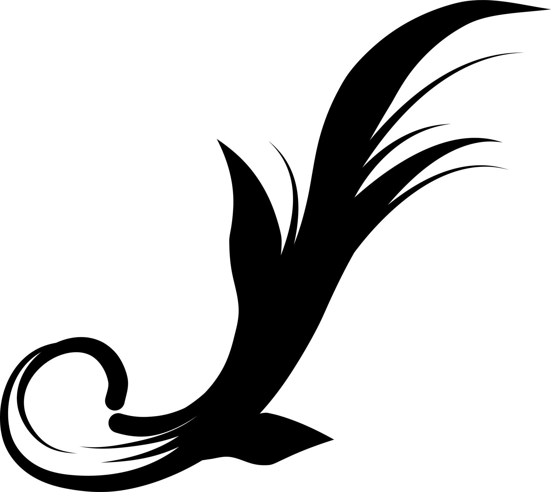 Calligraphic swirl element vector 14433570 Vector Art at Vecteezy Calligraphic swirl element vector 14433570 Vector Art at Vecteezy
