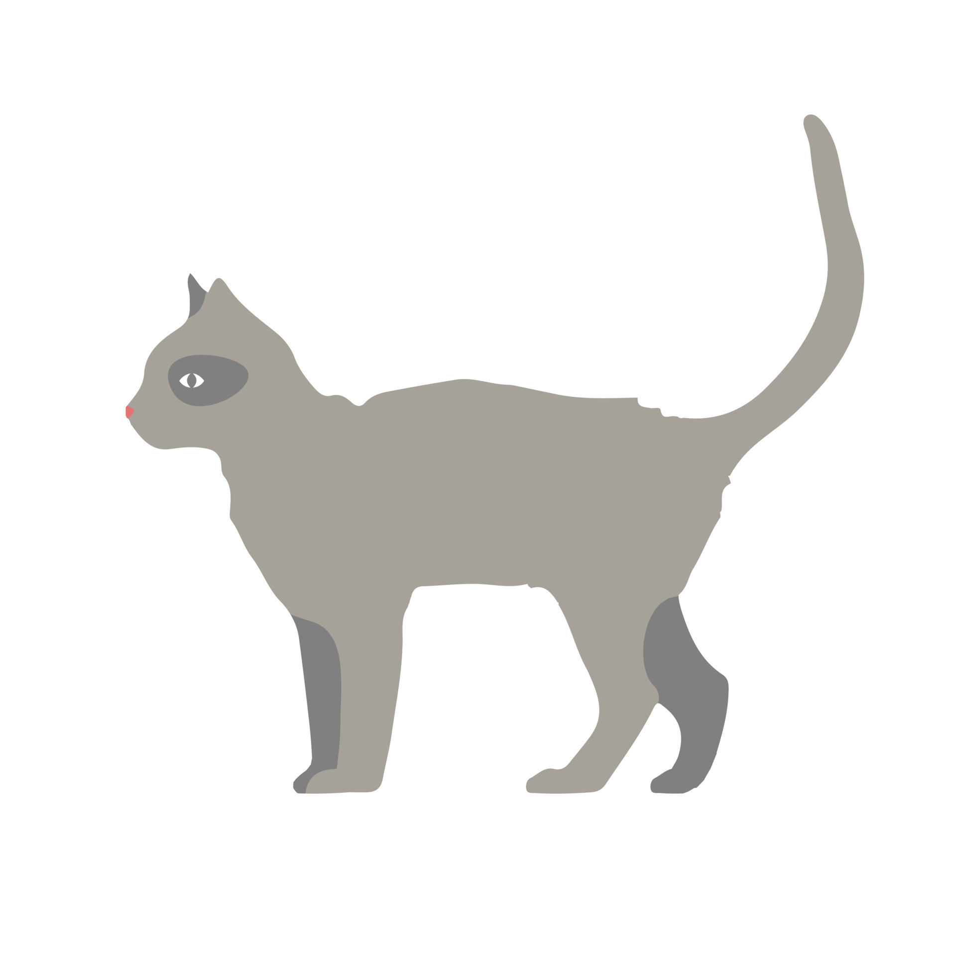 Grey Cat Flat Vector Illustration Of A Gray Walking Cat 14435171
