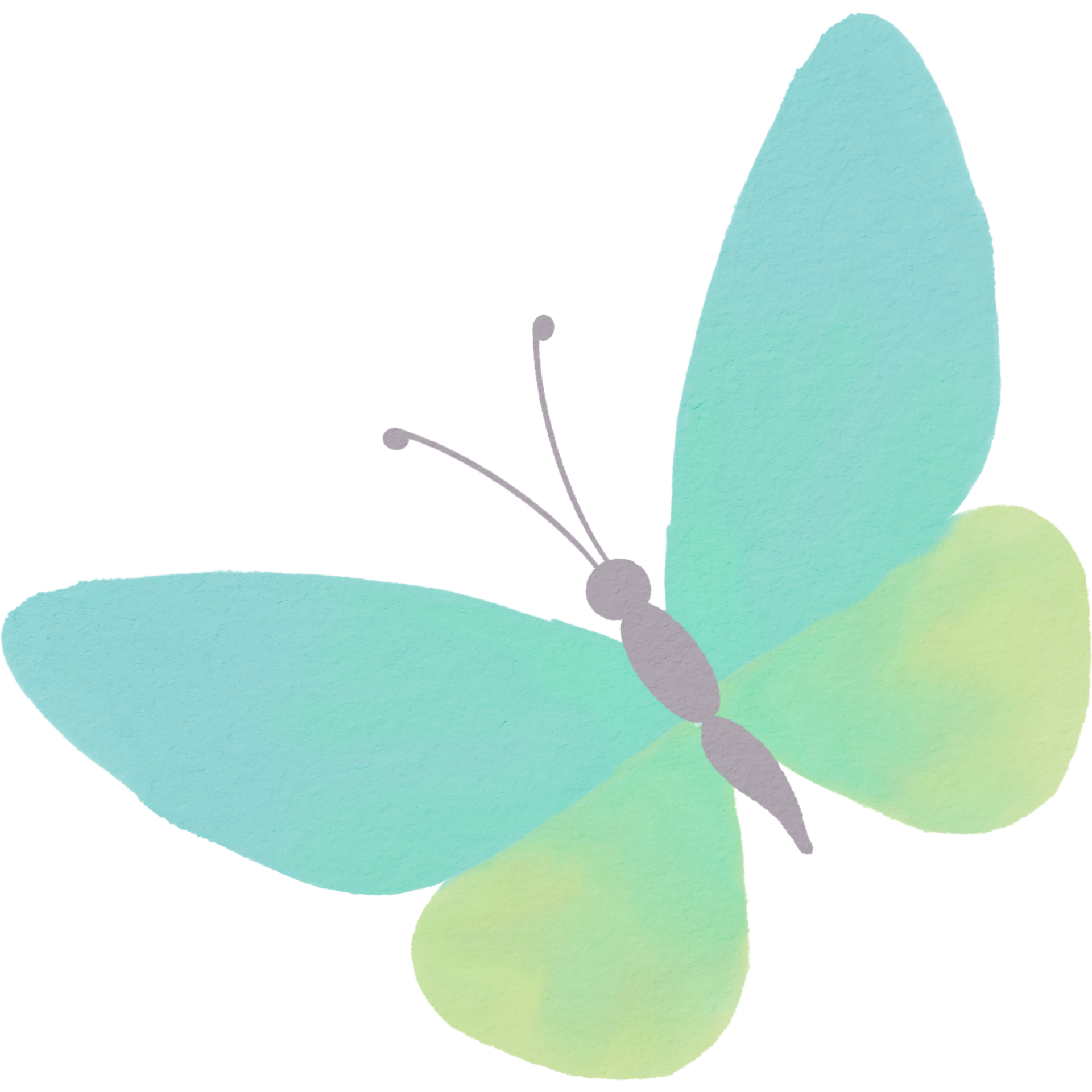 color de agua de mariposa 14466134 PNG
