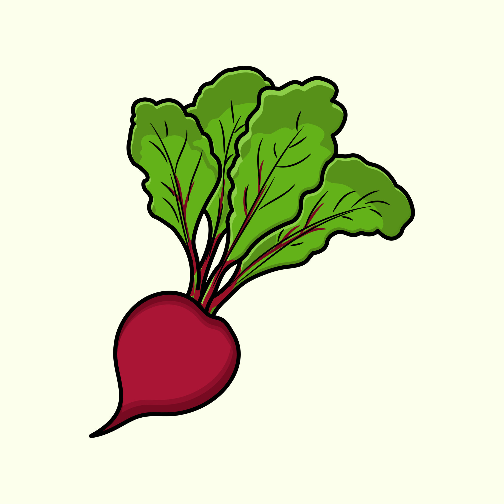 beetroot vector illustration. flat icon. 14467531 Vector Art at Vecteezy beetroot vector illustration. flat icon. 14467531 Vector Art at Vecteezy